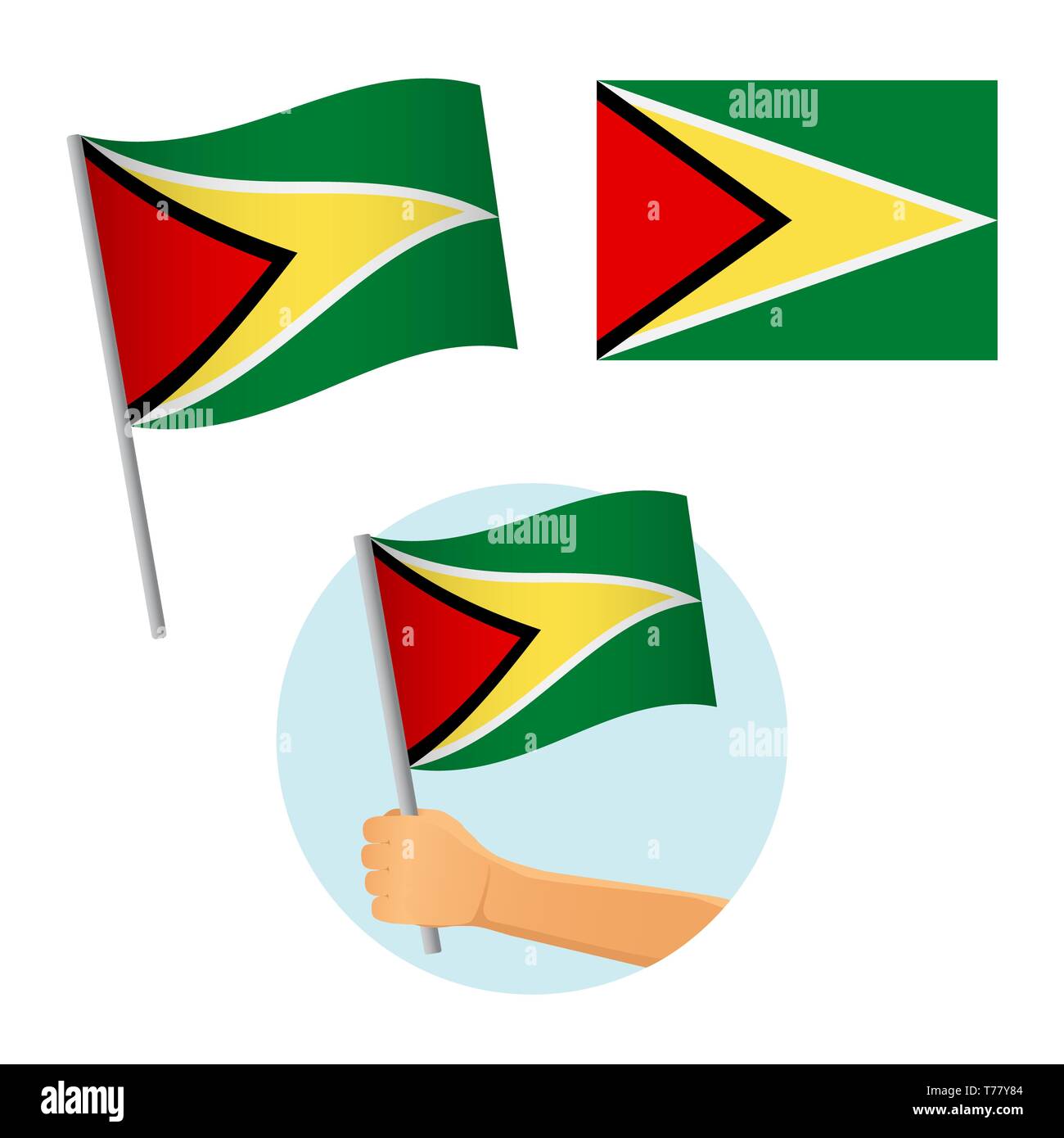 Guyana flag in hand. Patriotic background. National flag of Guyana illustration Stock Photo - Alamy