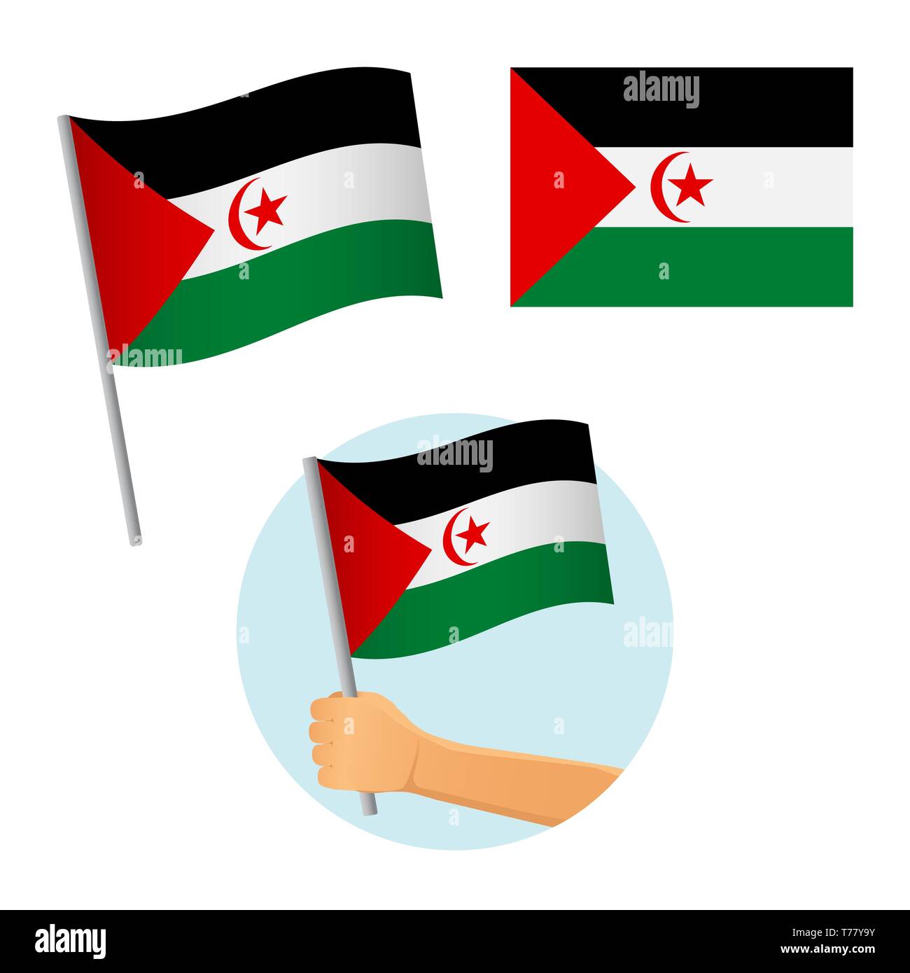 Sahrawi Arab Democratic Republic flag in hand. Patriotic background ...