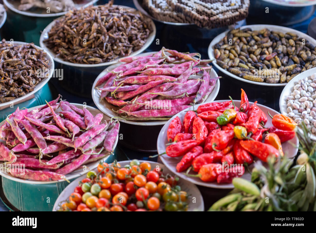 India Kohima Market Stock Photos & India Kohima Market Stock Images - Alamy