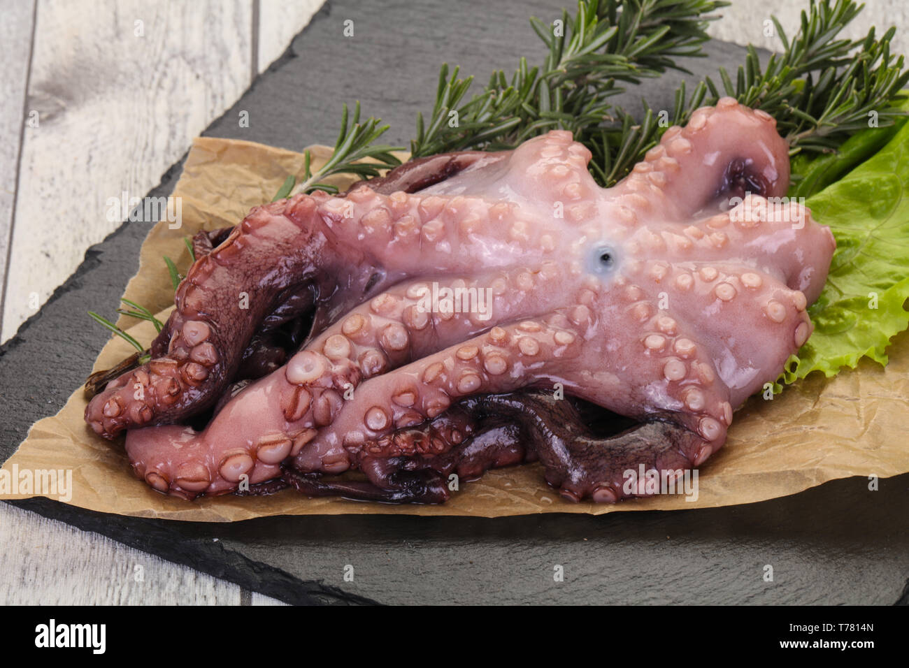 Raw octopus ready for cooking with rosemary Stock Photo - Alamy