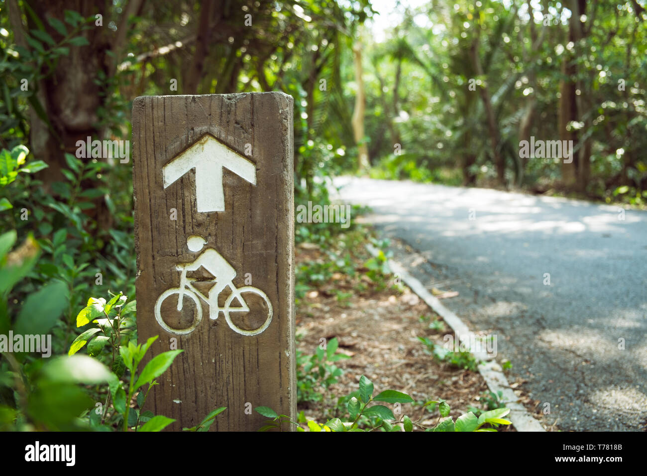 Bike lane arrow hi-res stock photography and images - Alamy