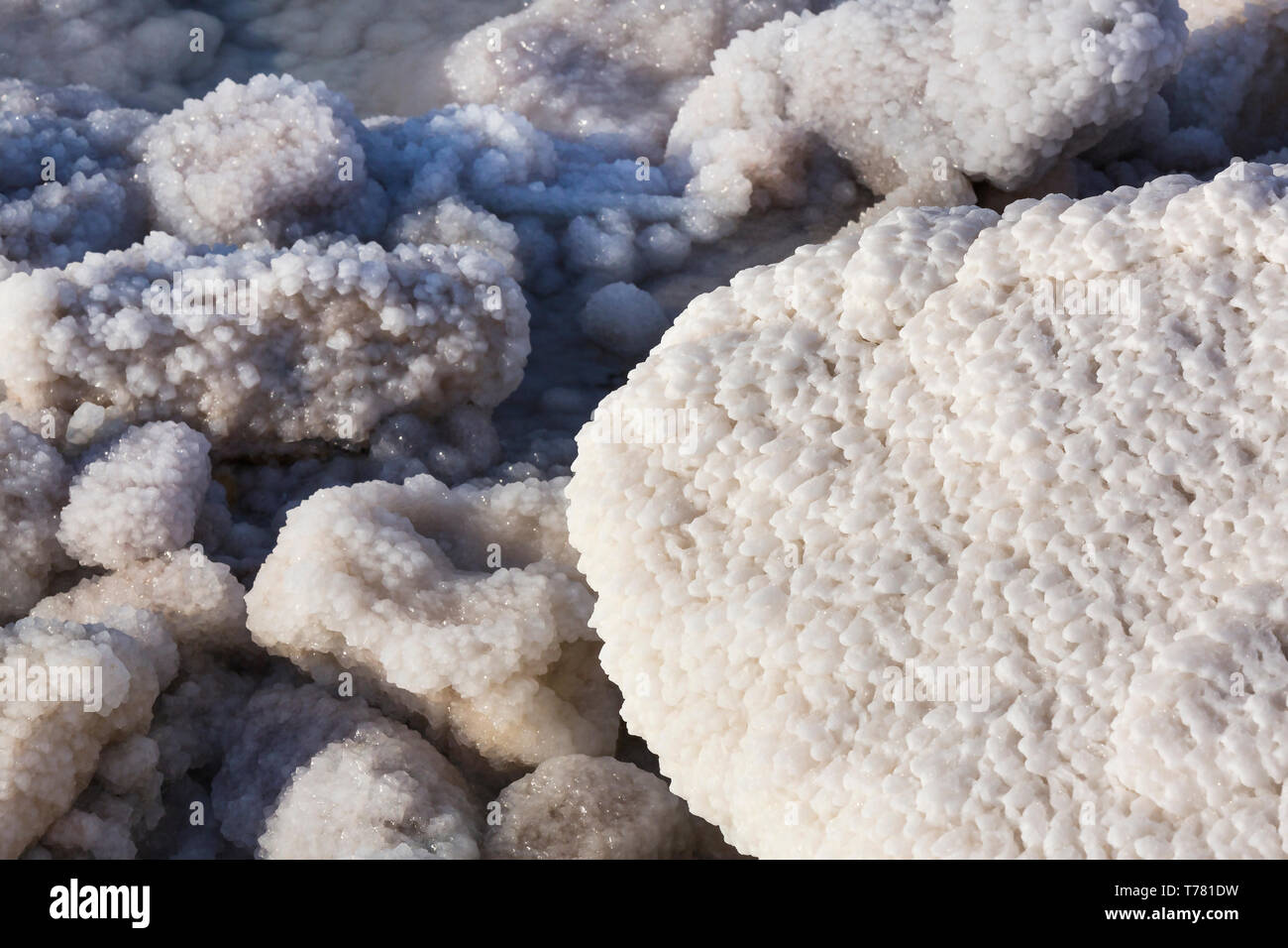 Dead Sea salt deposits stones white crystals Stock Photo - Alamy