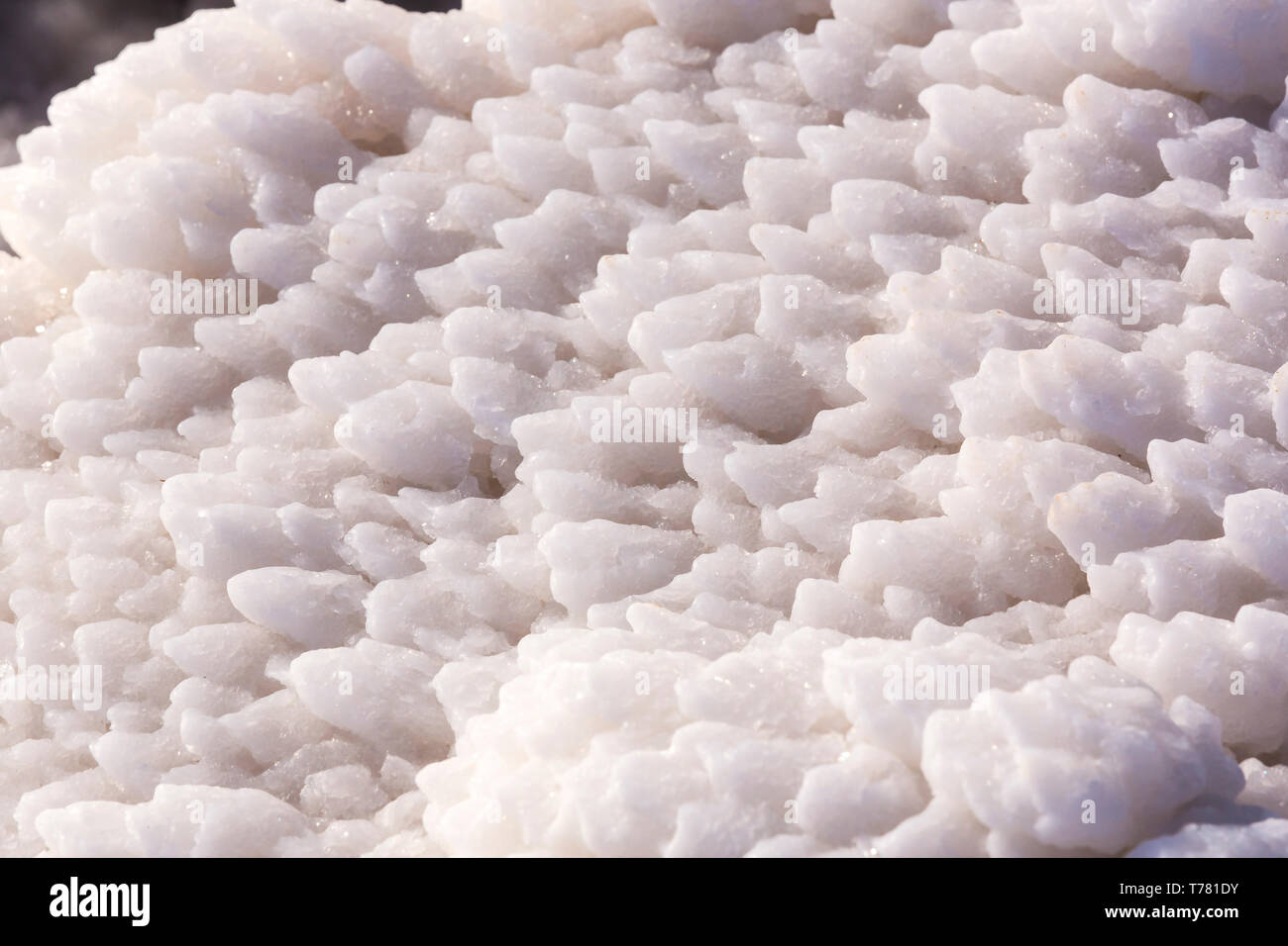 Dead Sea salt deposits stones white crystals Stock Photo - Alamy