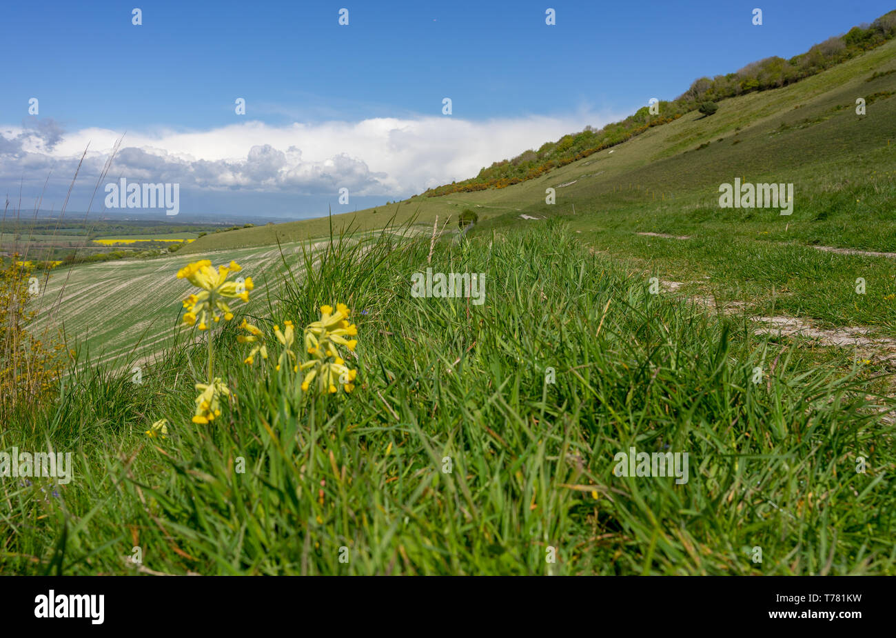 Hillside track hi-res stock photography and images - Alamy