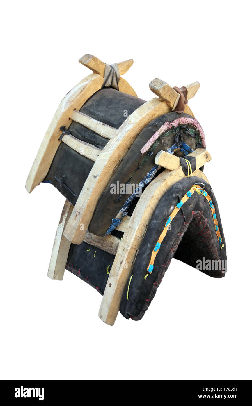 Saddle animal transportation Cut Out Stock Images & Pictures - Alamy