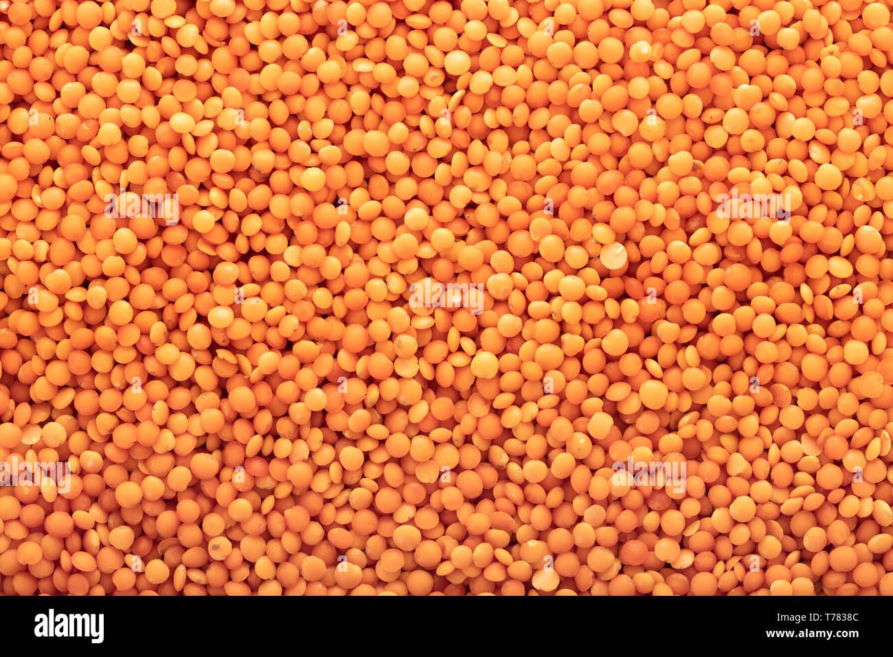 food background of raw lentils texture closeup Stock Photo - Alamy