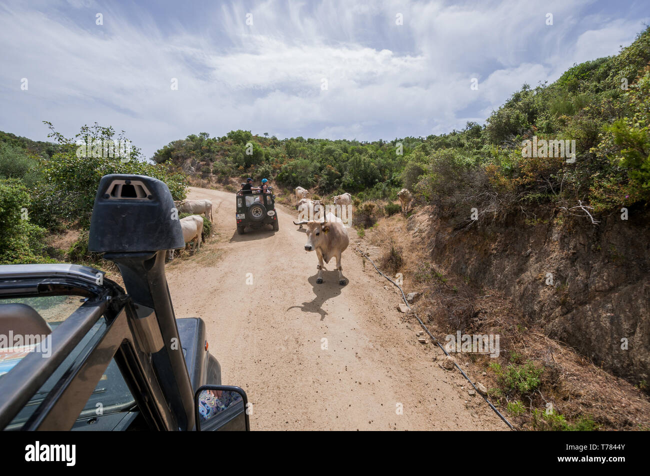 2014 defender vehicle hi-res stock photography and images - Alamy