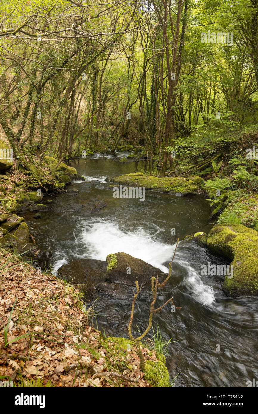 In A Coruña, there are four waterfalls of the Mendo River, in a lively ...