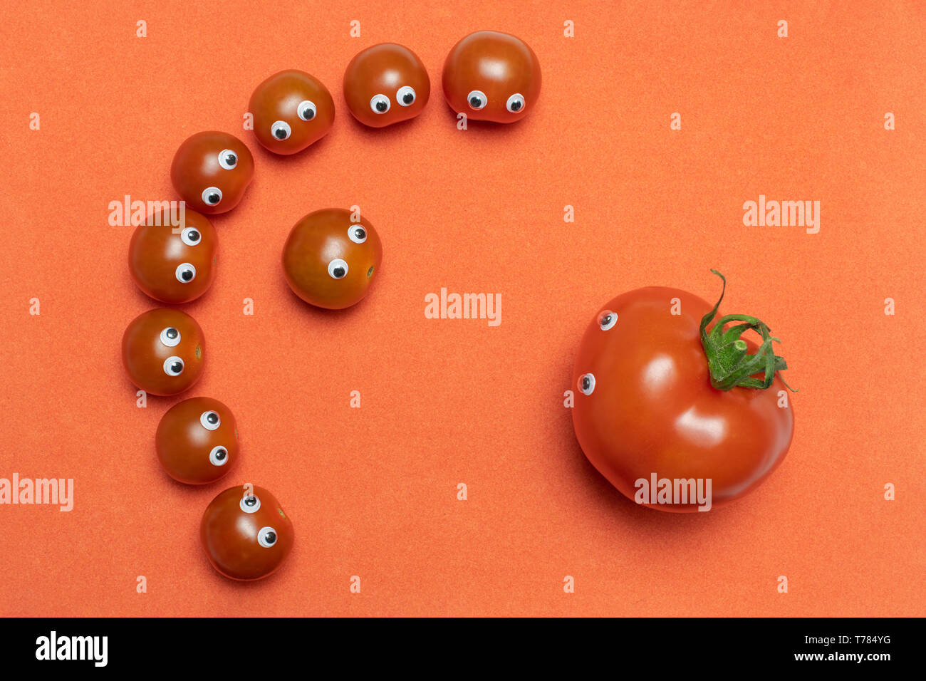 Tomatoes with eyes funny concept, copy space. Fresh little cherry and ...