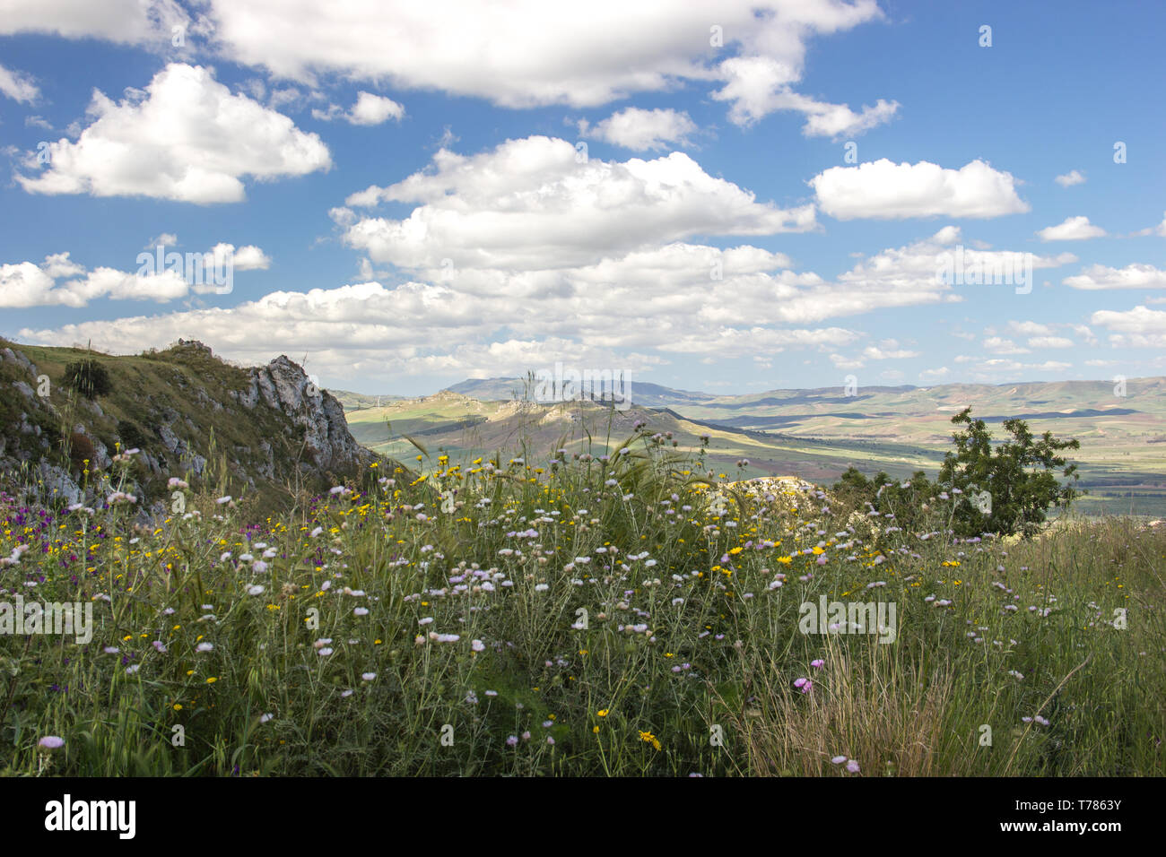 Green grass of rural scenic view in spring with beautiful sky Stock ...