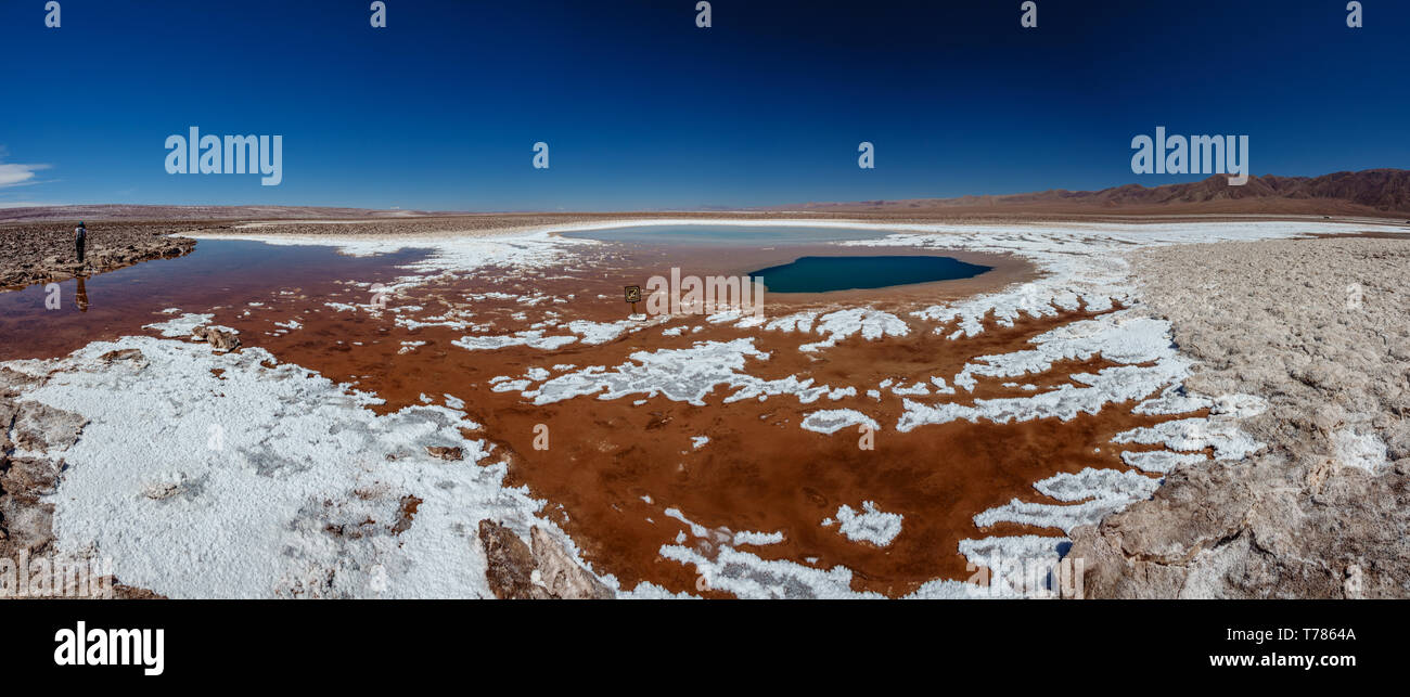 Baltinache Hidden lagoons salt lakes in Atacama desert gigapan Stock ...