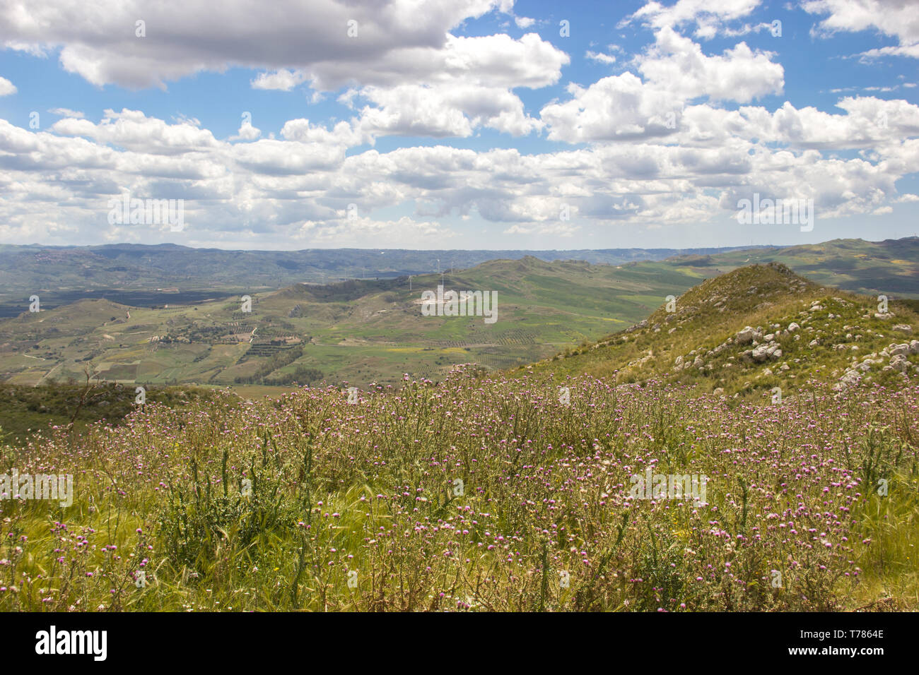 Landscape of green nature in spring, rural view in background with ...
