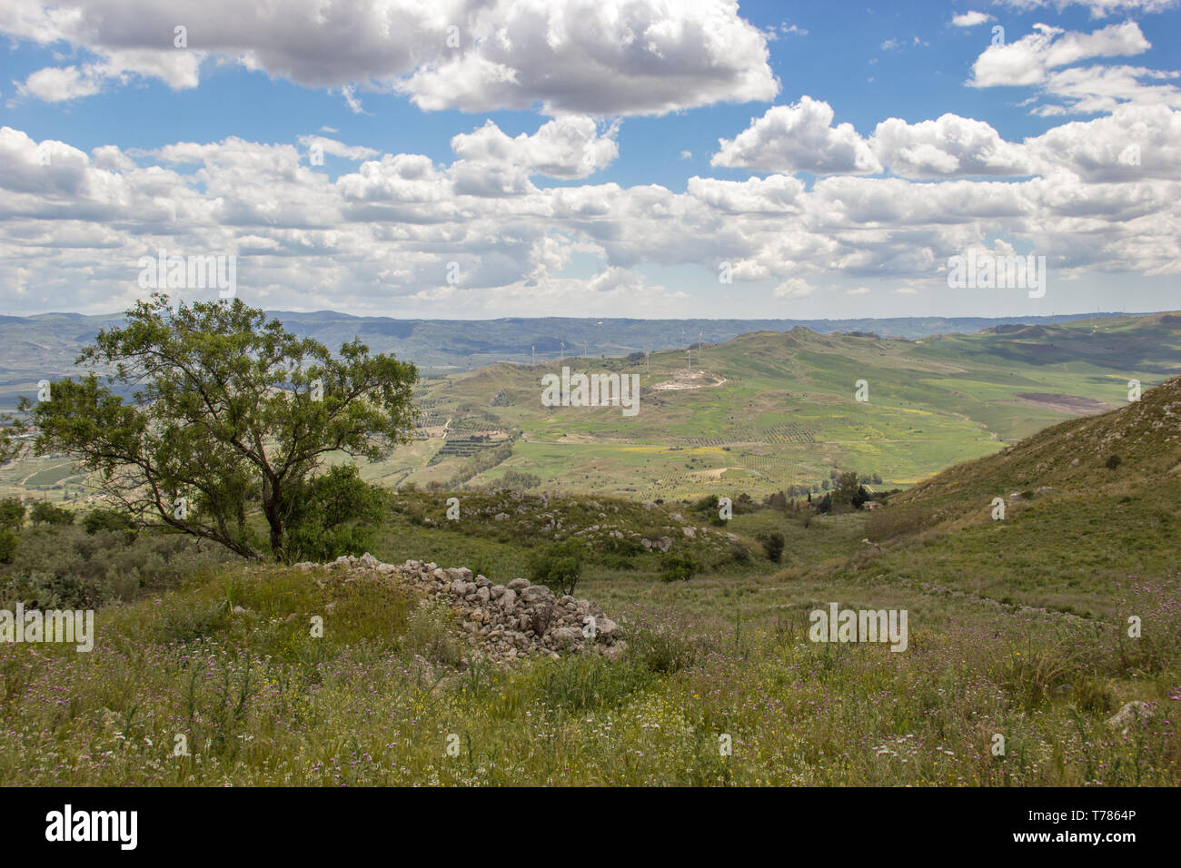 Grass italy hi-res stock photography and images - Alamy