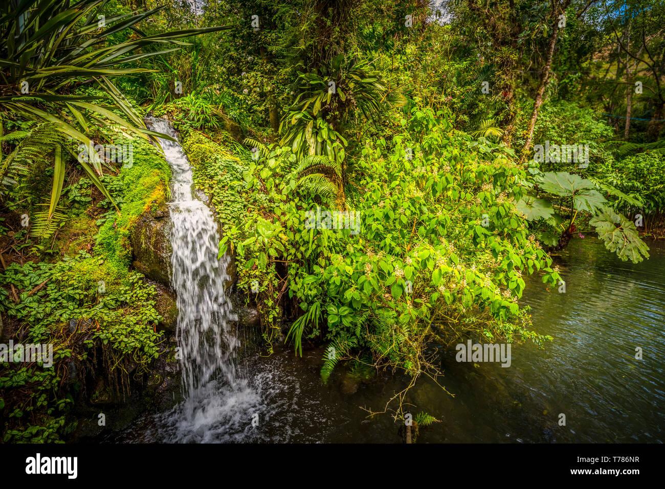 Beautiful tropical landscape waterfall hi-res stock photography and ...