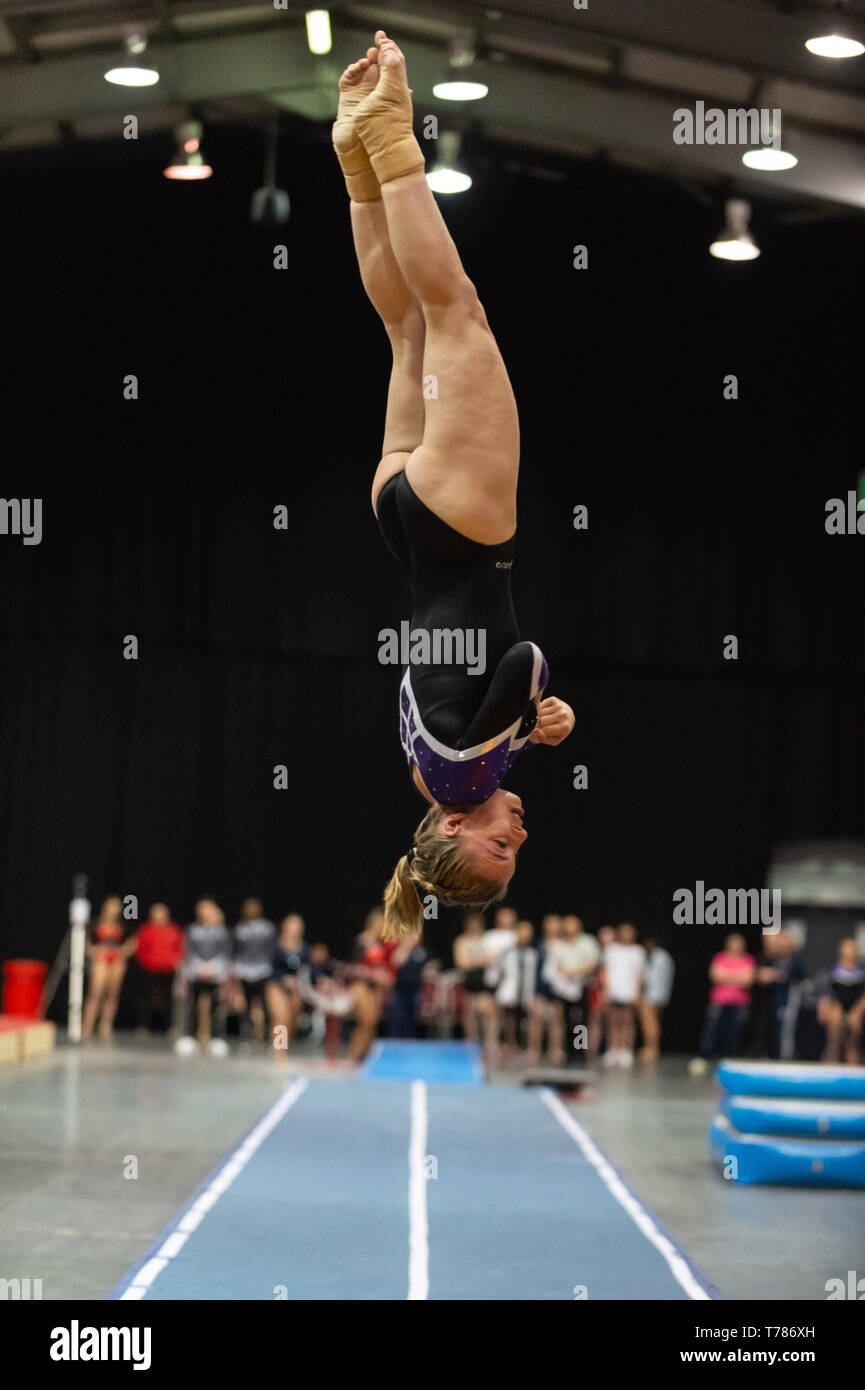 Jess brain hi-res stock photography and images - Alamy