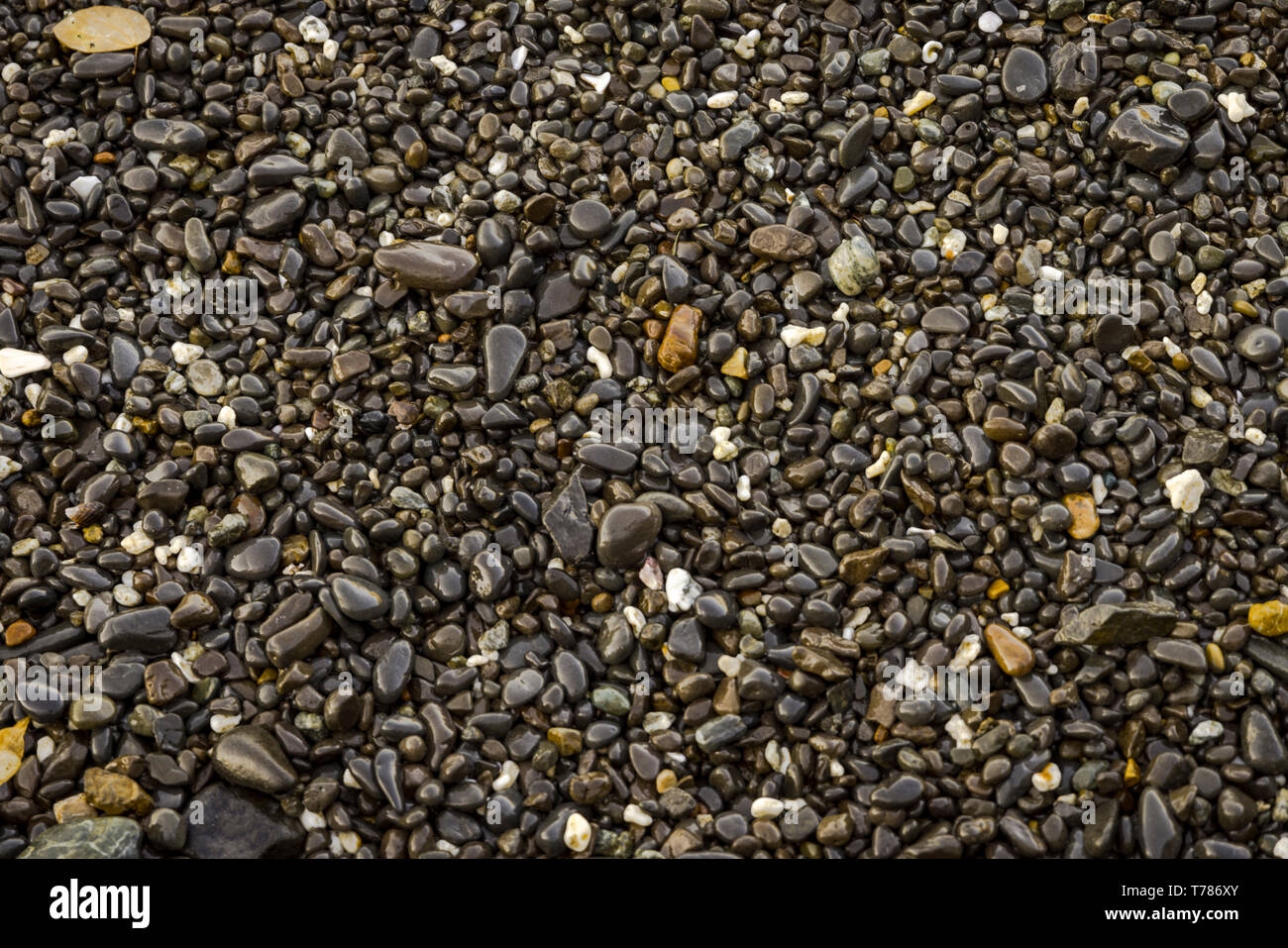 Beach stones texture background Stock Photo - Alamy