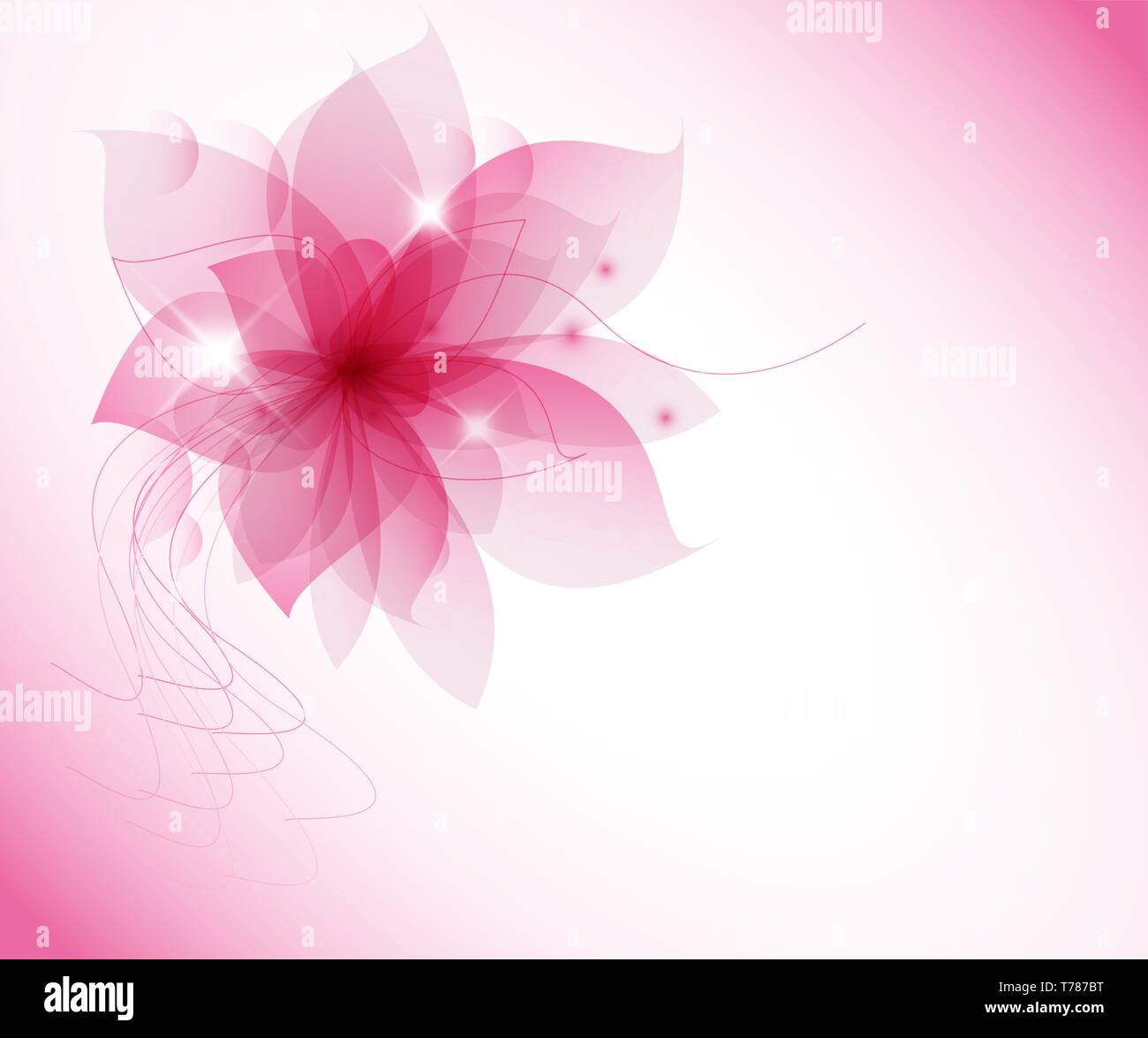 Vector rose flower on white background Stock Vector Image & Art - Alamy