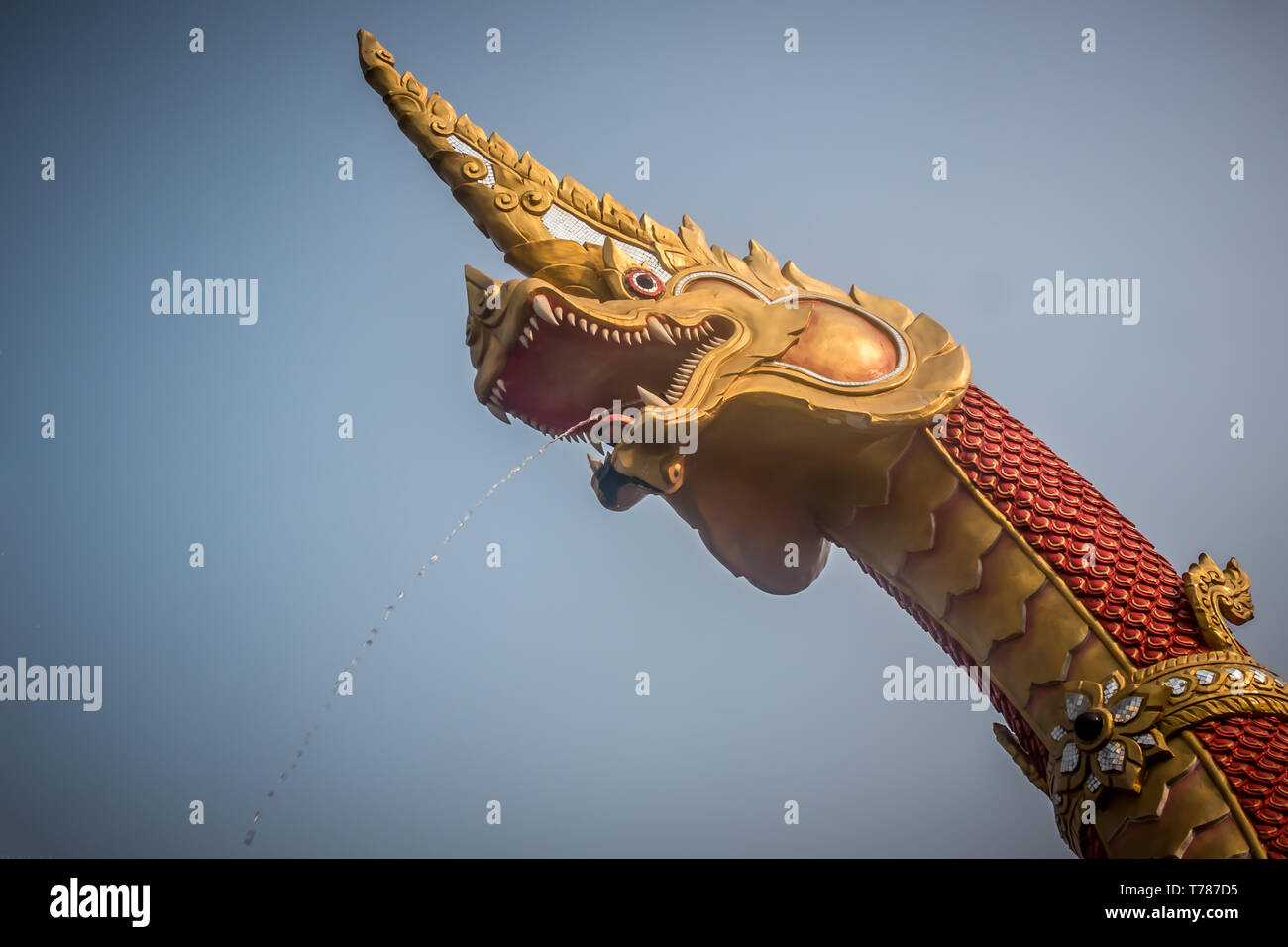 Naga spraying water Stock Photo - Alamy