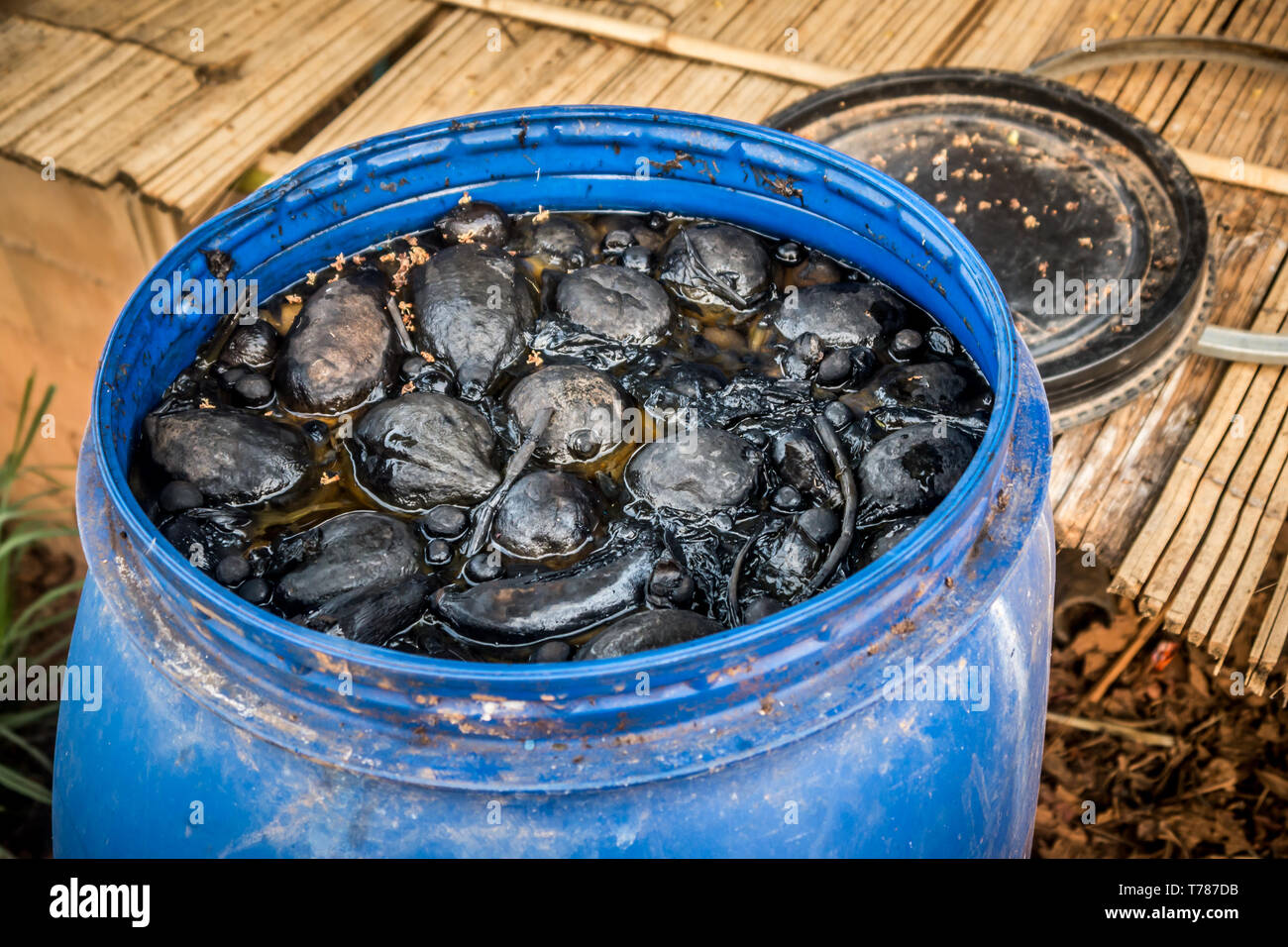 Biological fermentation hi-res stock photography and images - Alamy