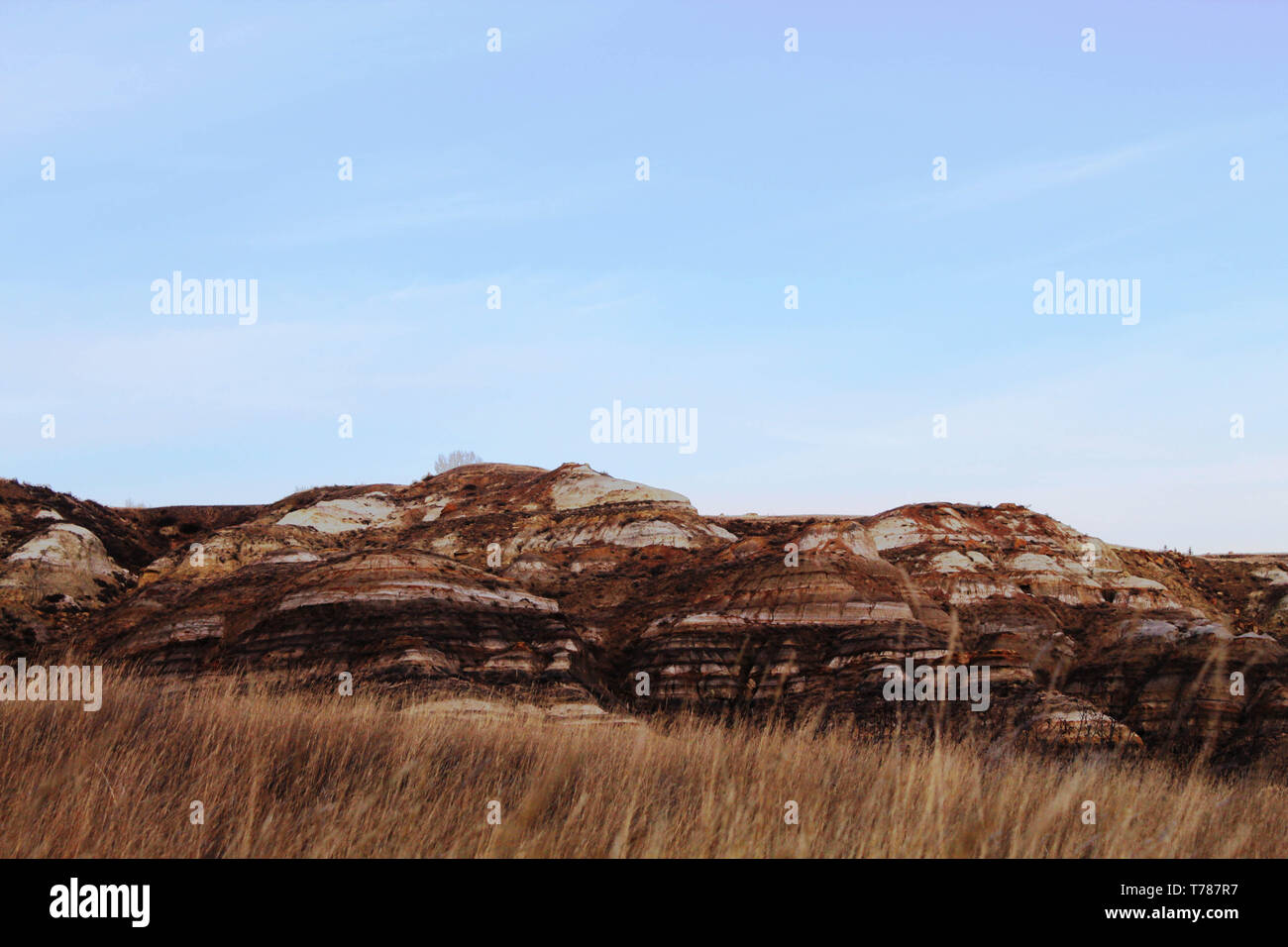 Redcliff Alberta High Resolution Stock Photography and Images - Alamy