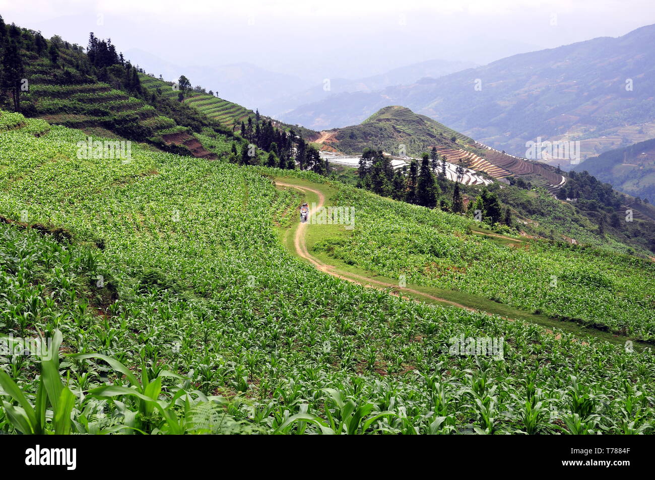 Driving motorbike in the northwest of Vietnam - great experience Stock ...