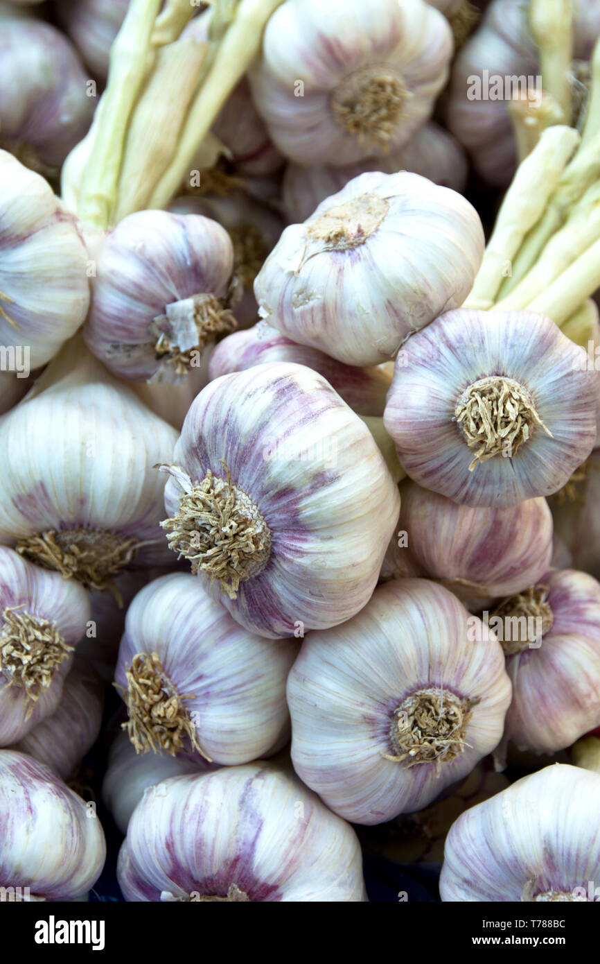 Strings of garlic hi-res stock photography and images - Alamy
