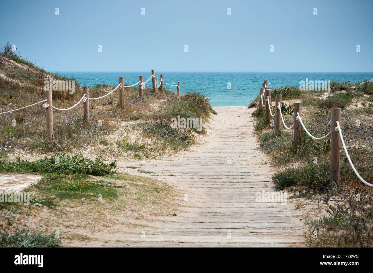 path to the sea on a sandy beach you next vacation destination Stock ...