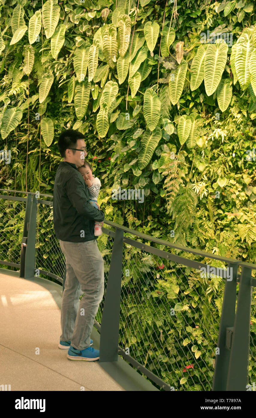 Father and child look at living wall, Amazon Spheres, glass domes built ...