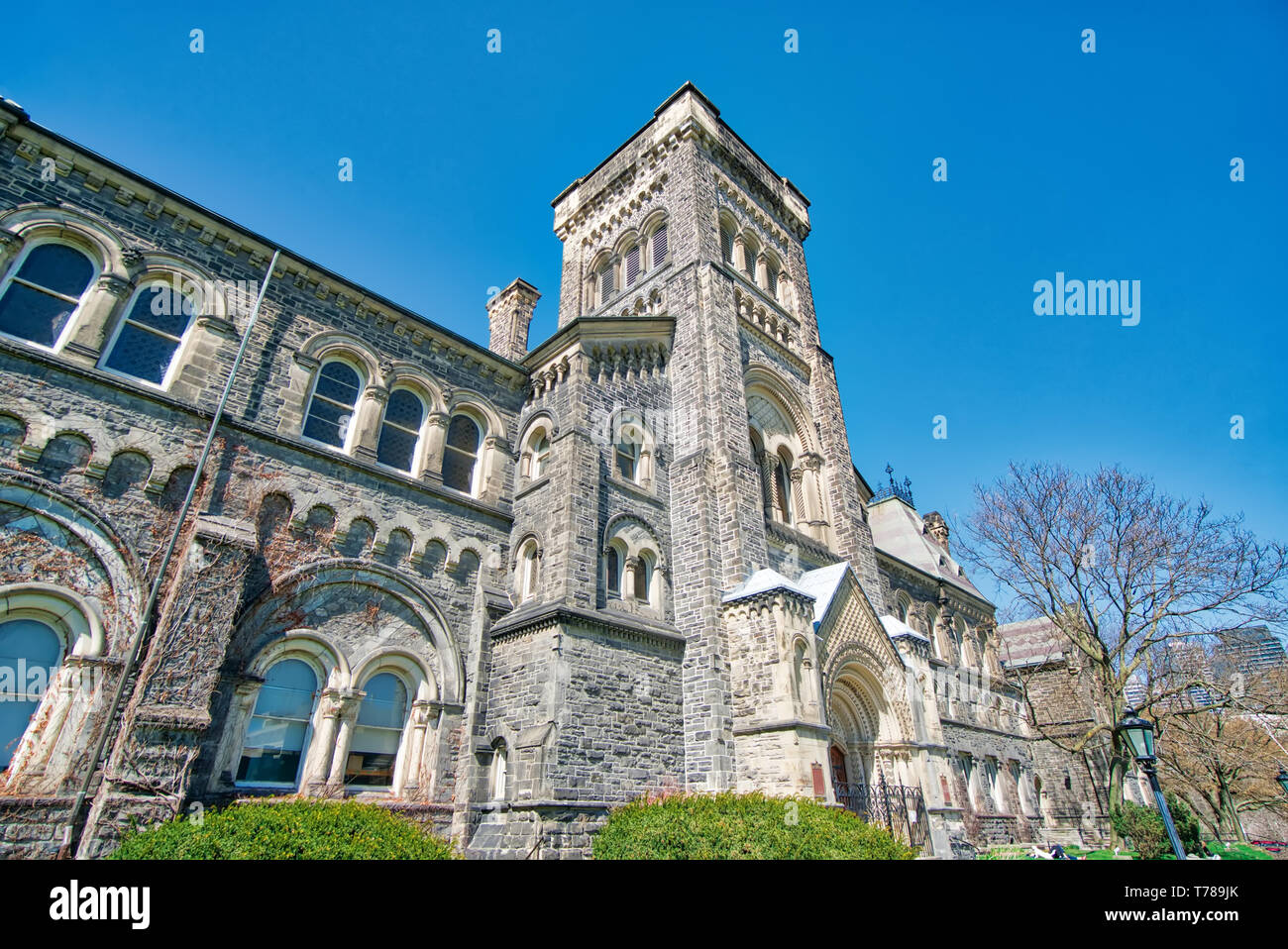 Old Toronto University Campus and buildings located in city downtown ...