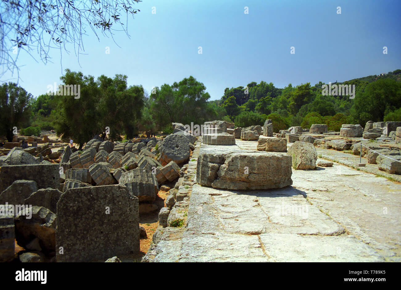Tumbled columns of the Temple of Hera, Olympia, Greece Stock Photo - Alamy