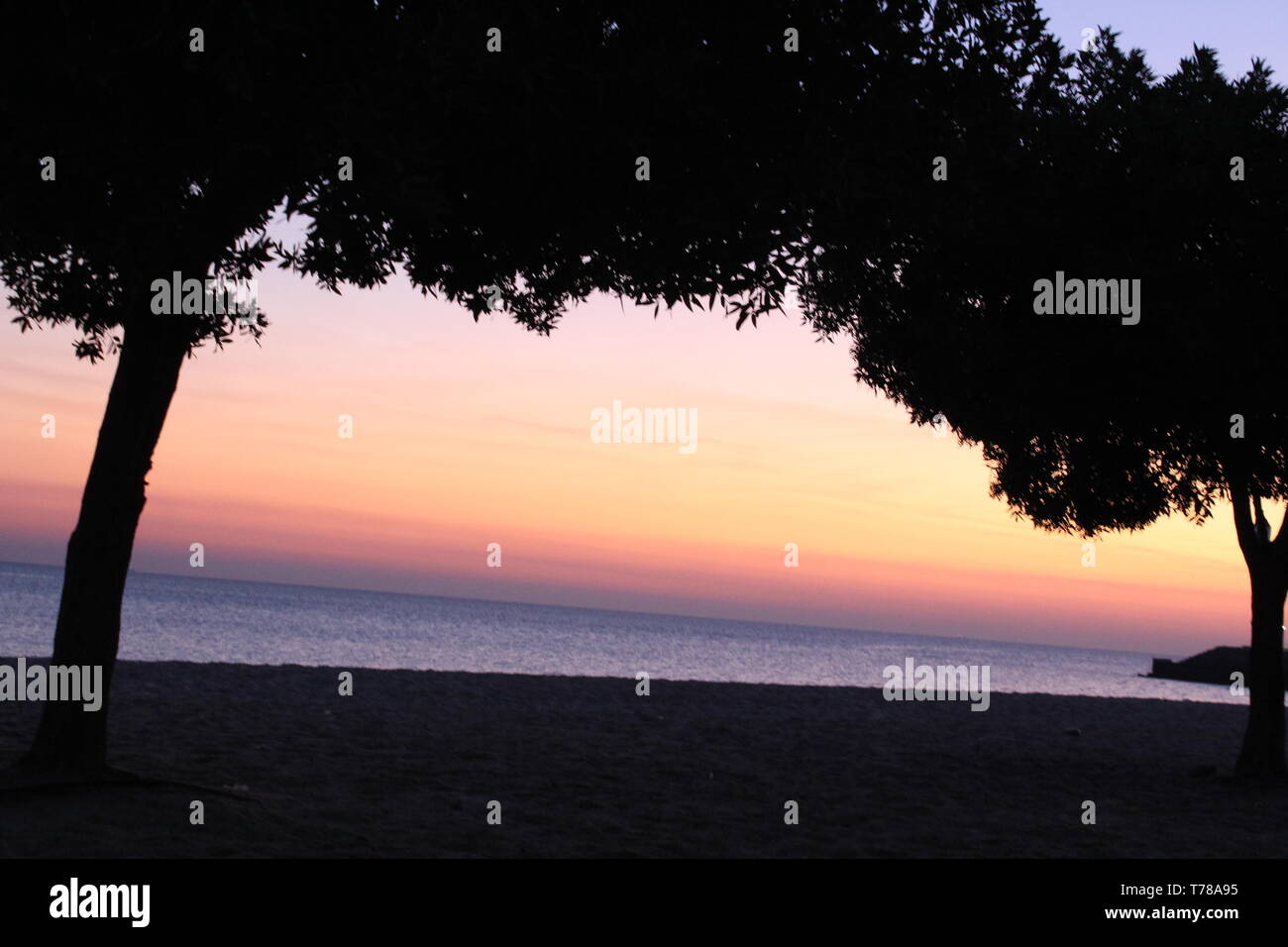 A man standing at the beach watching the sunrise hi-res stock ...