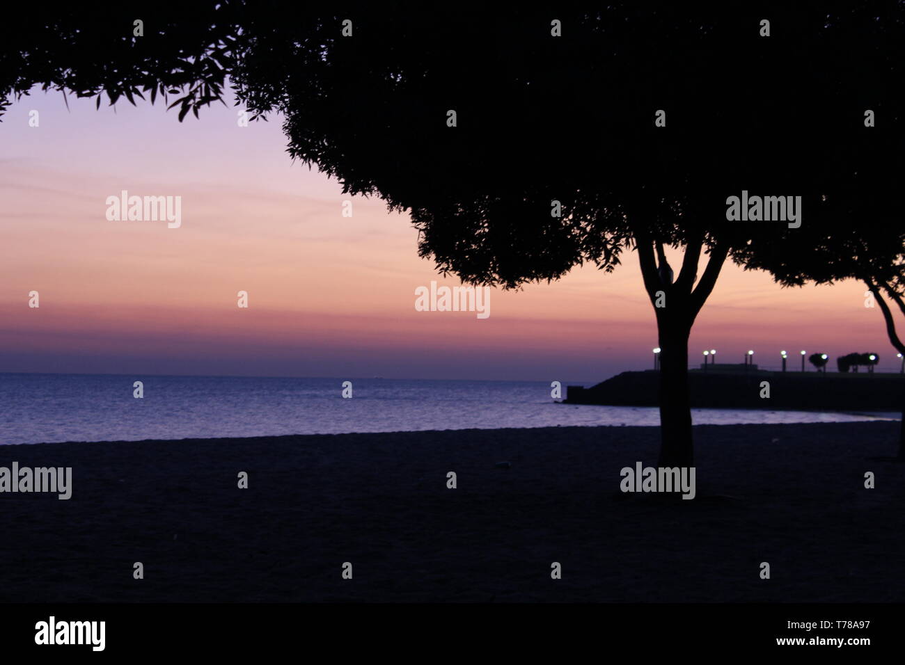 A man standing at the beach watching the sunrise hi-res stock ...
