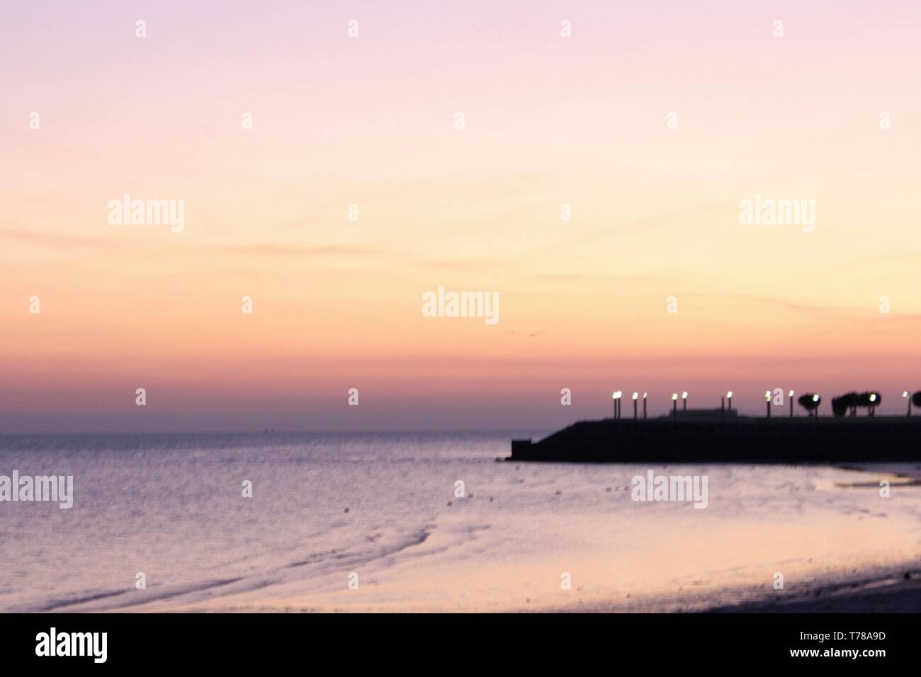 A man standing at the beach watching the sunrise hi-res stock ...