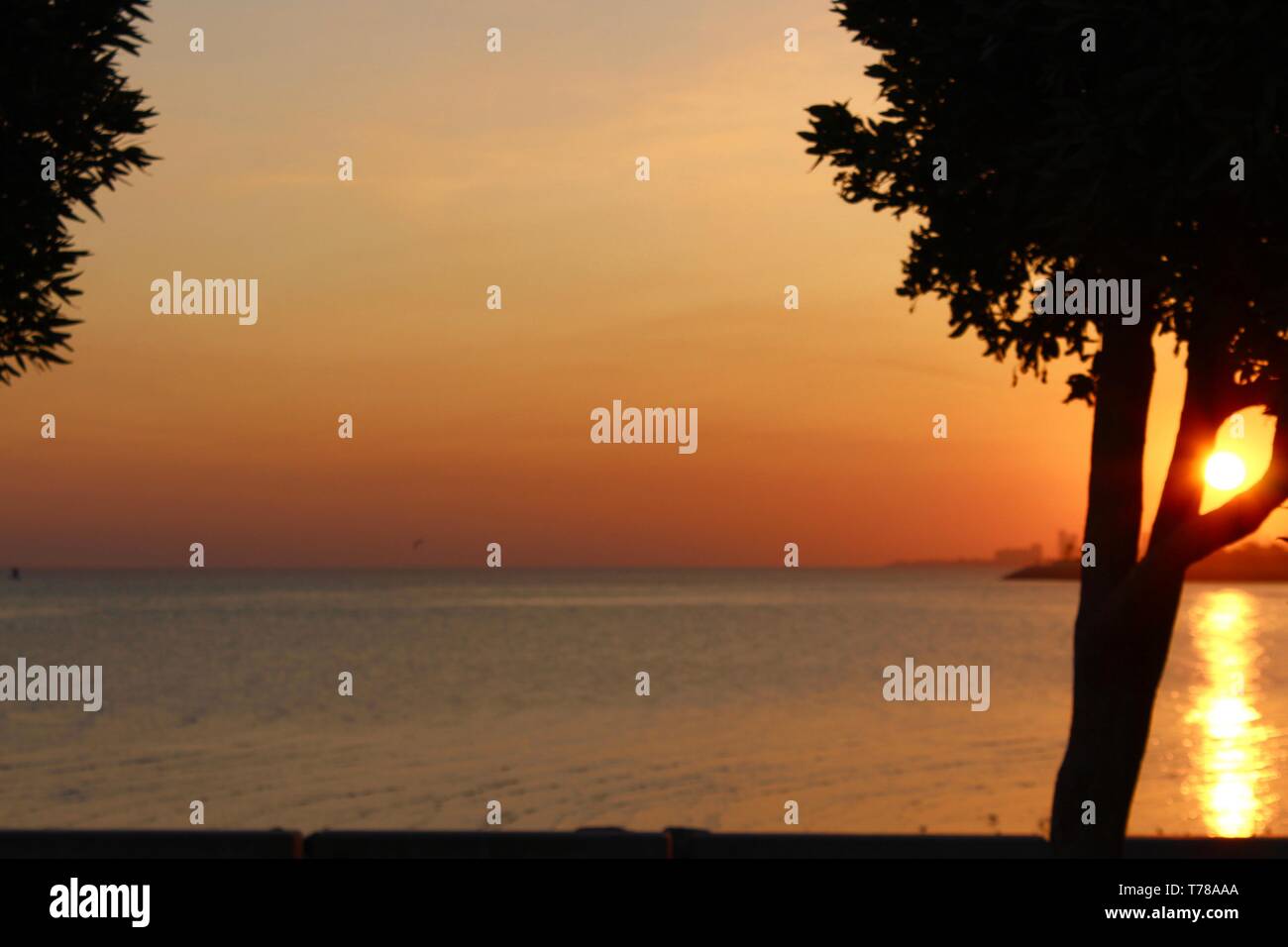 A man standing at the beach watching the sunrise hi-res stock ...
