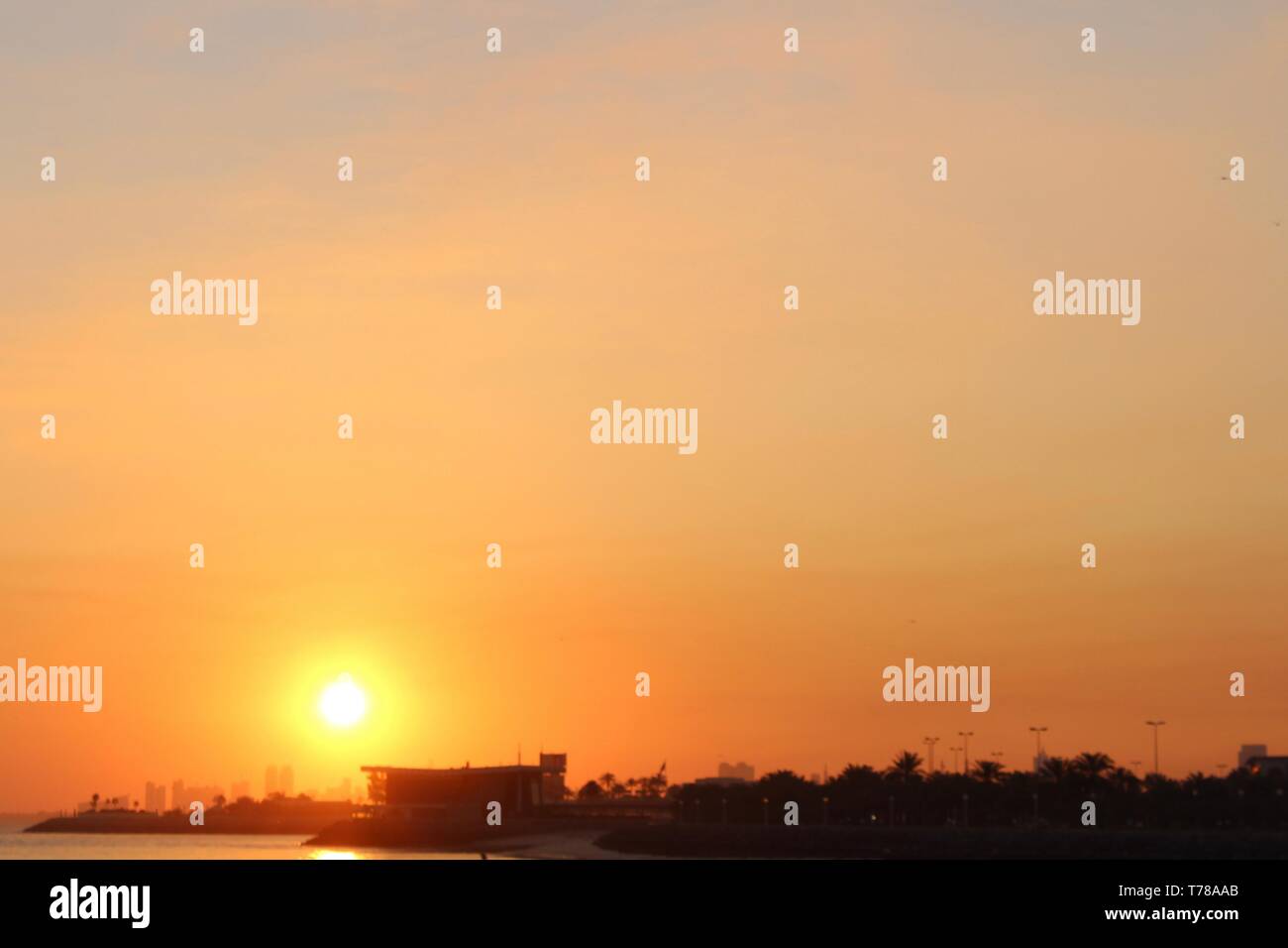 A man standing at the beach watching the sunrise hi-res stock ...
