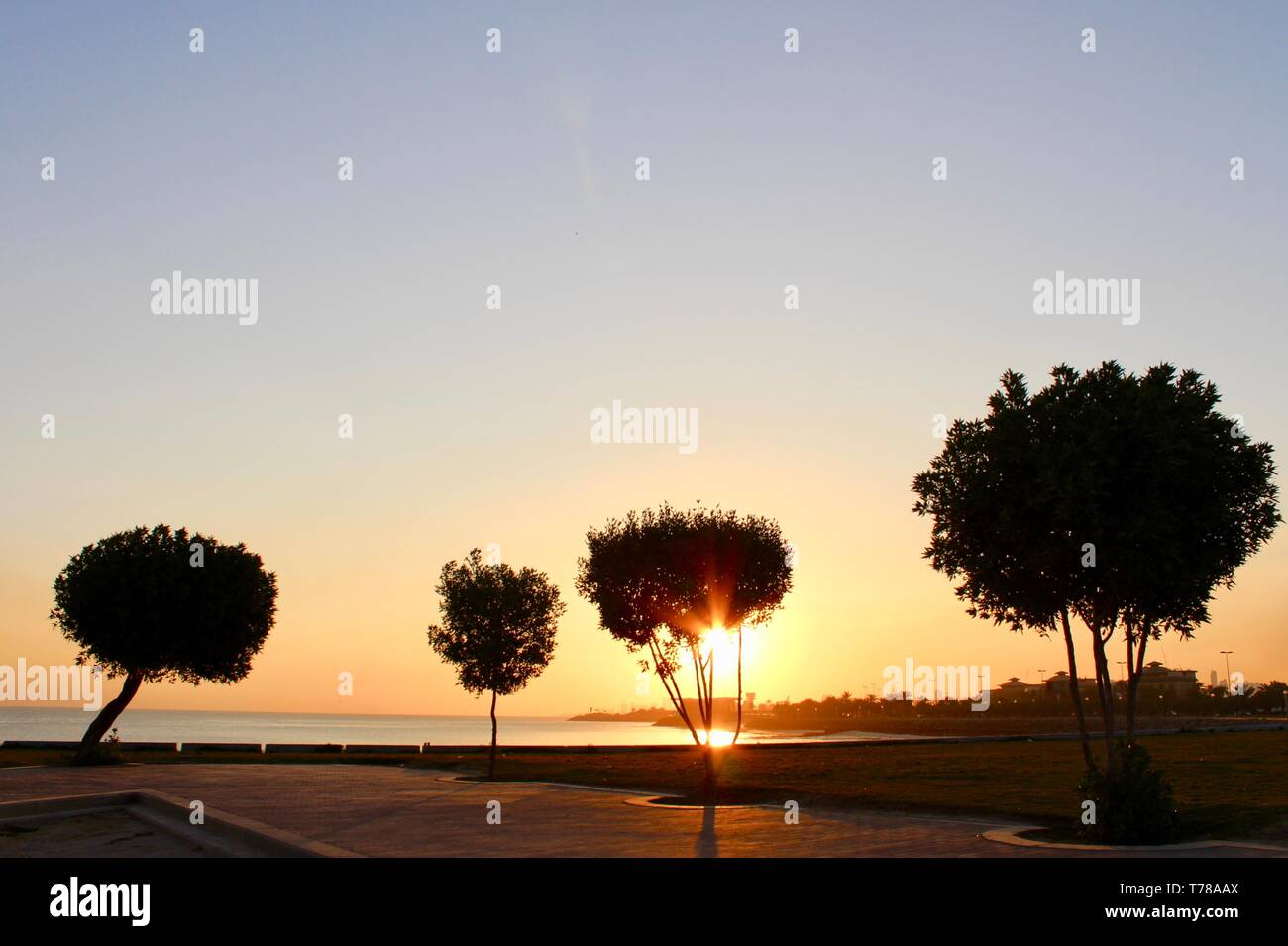 A man standing at the beach watching the sunrise hi-res stock ...