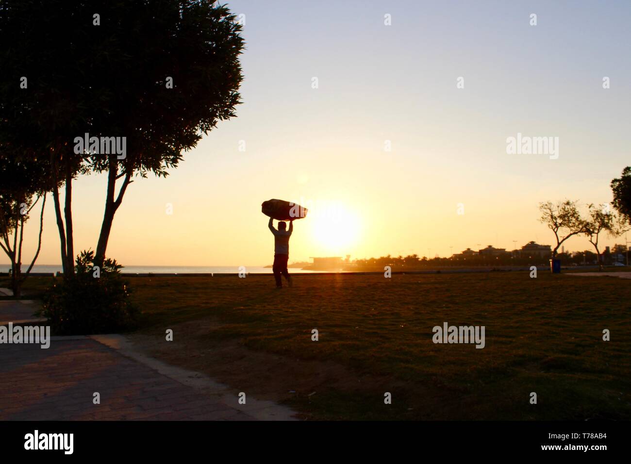 A man standing at the beach watching the sunrise hi-res stock ...
