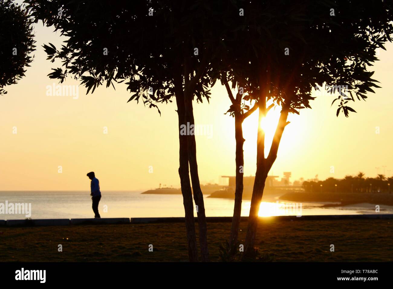 the rising sun Stock Photo - Alamy