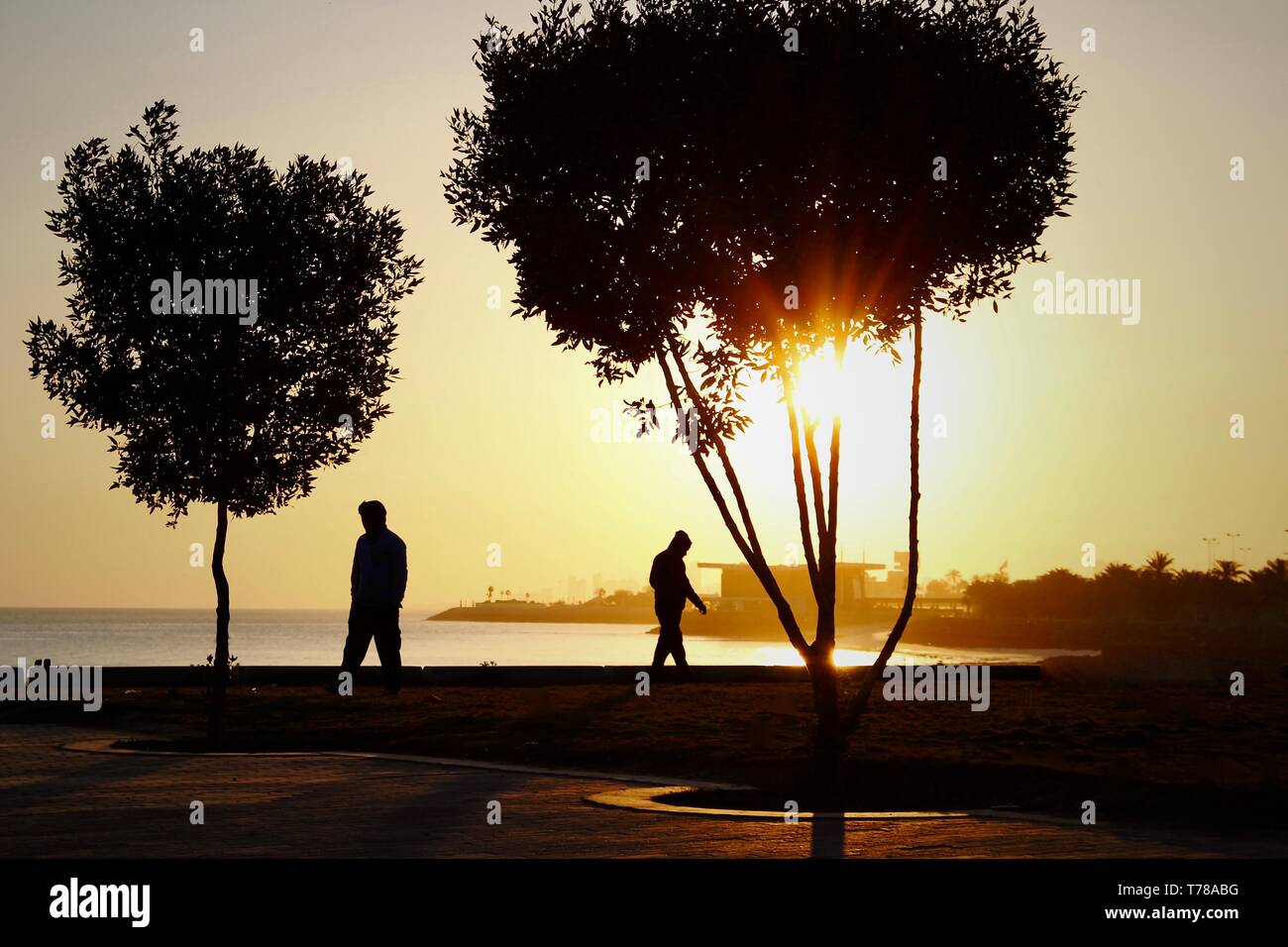 Man sitting in the sun hi-res stock photography and images - Alamy