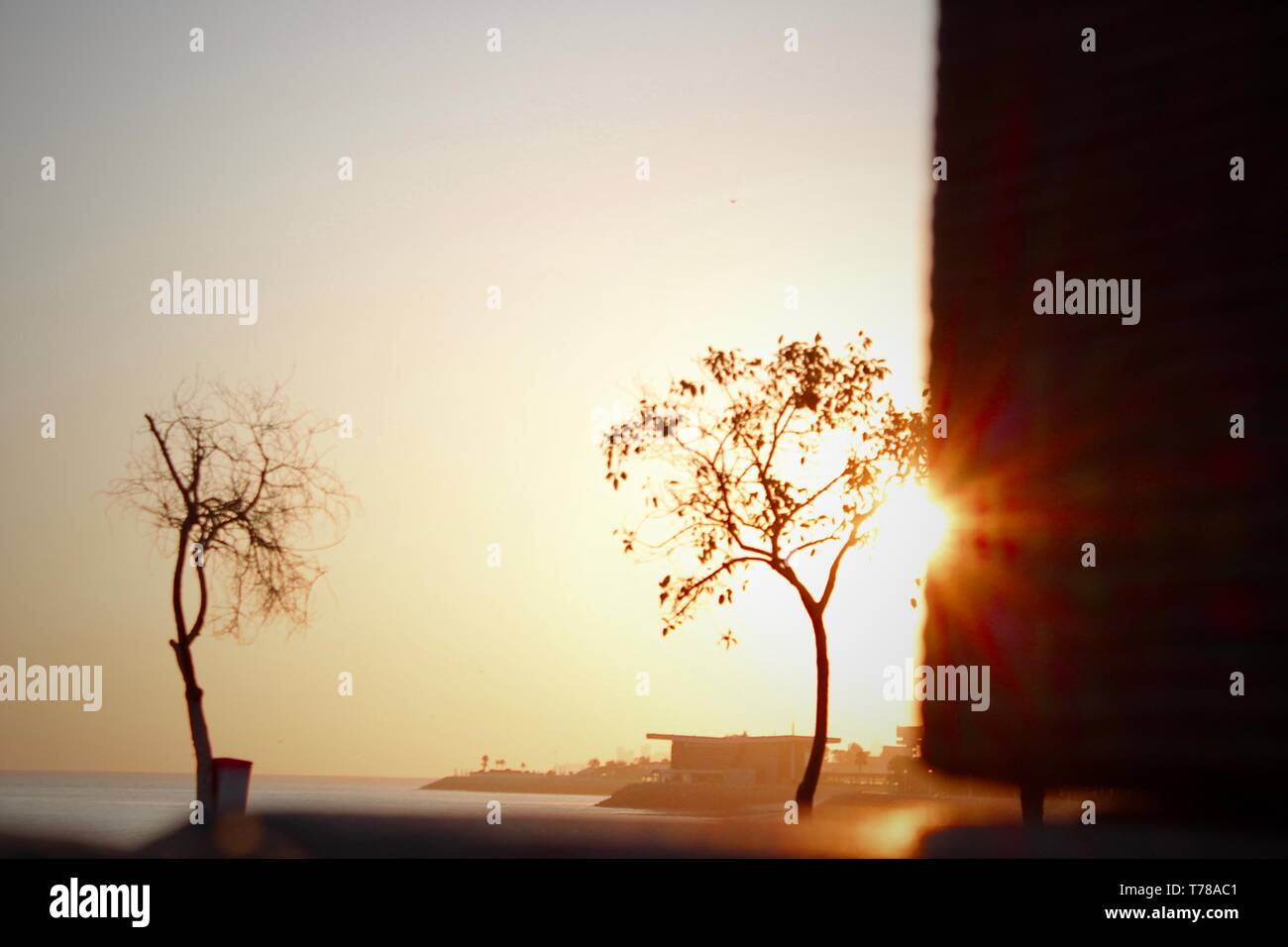 the rising sun Stock Photo - Alamy