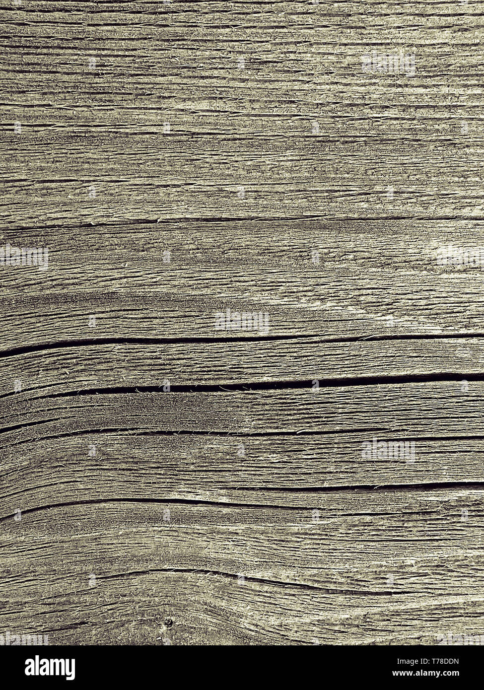 Texture of weathered wood Stock Photo - Alamy