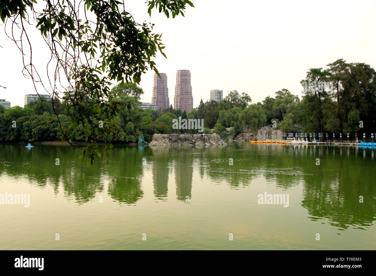 Bosque de Chapultepec. Park of Chapultepec, Mexico city Stock Photo - Alamy