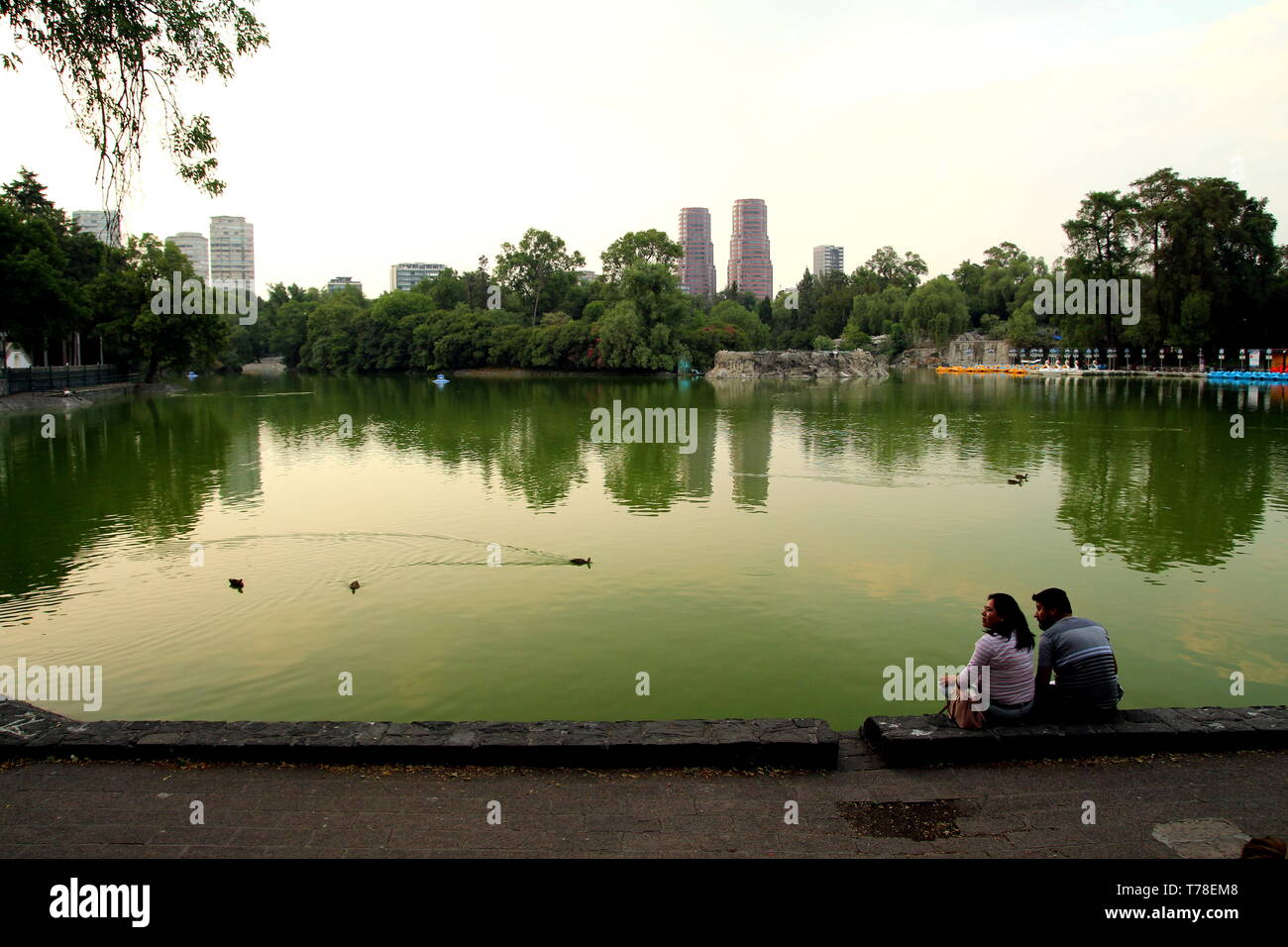 Bosque de Chapultepec. Park of Chapultepec, Mexico city Stock Photo - Alamy