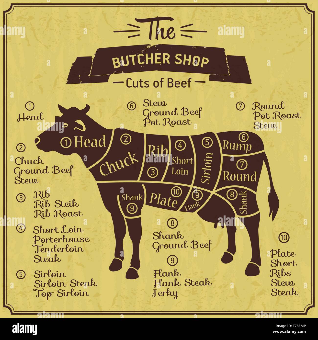 Butcher shop illustration of cow. Farm vintage background Stock Vector ...