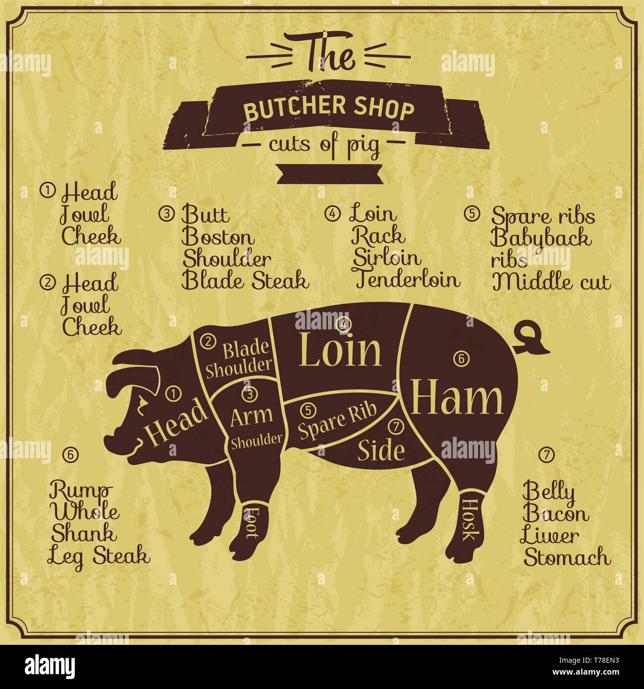 Guide pork Stock Vector Images - Alamy