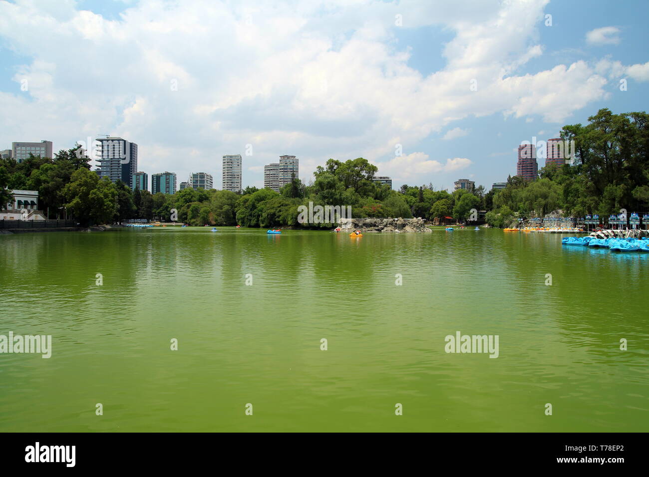 Bosque de chapultepec forest hi-res stock photography and images - Alamy