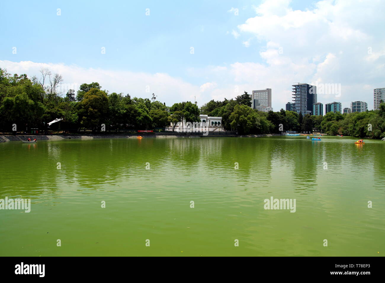 Bosque de Chapultepec. Park of Chapultepec, Mexico city Stock Photo - Alamy