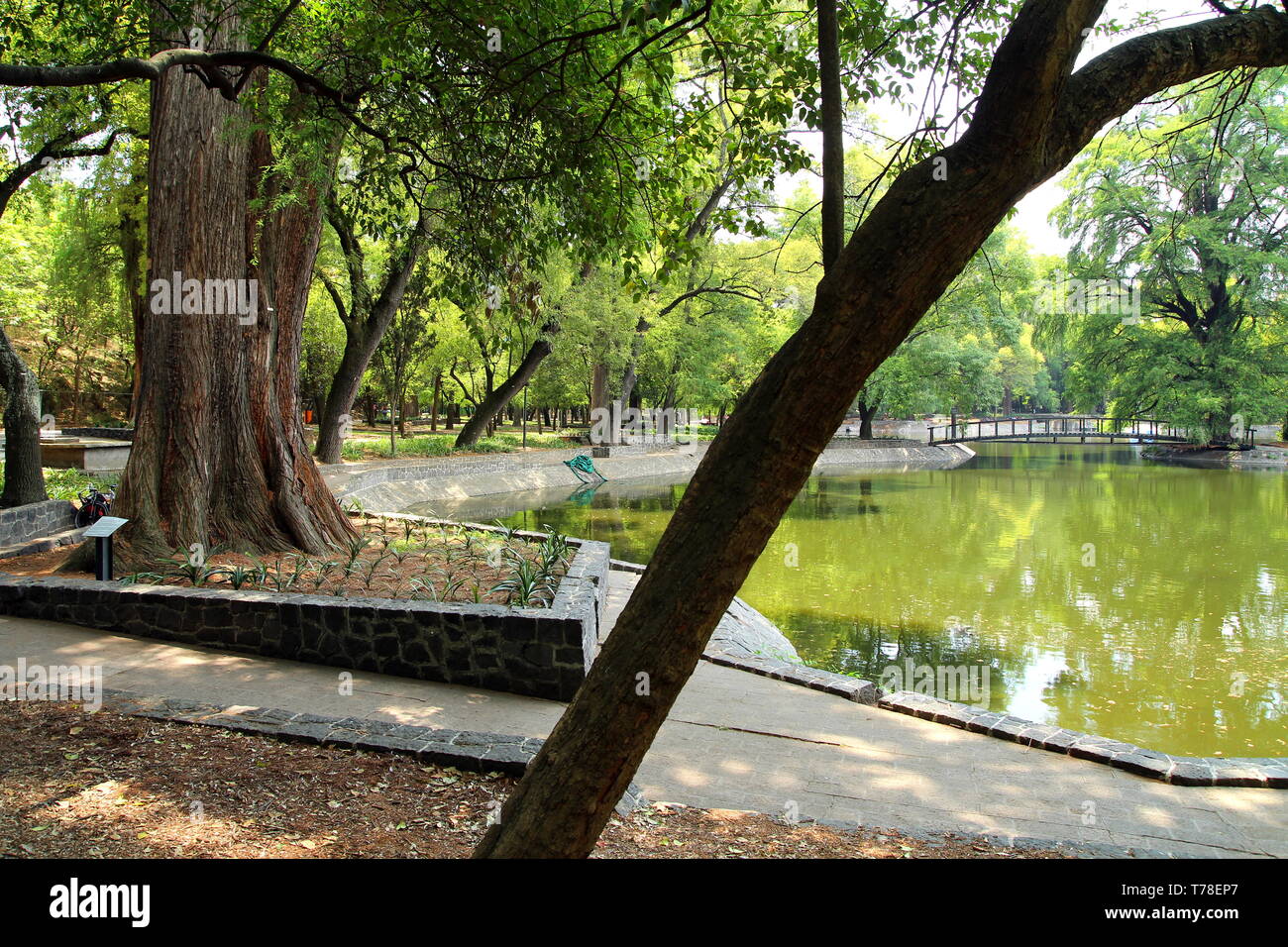 Bosque de Chapultepec. Park of Chapultepec, Lago Menor, Mexico city ...