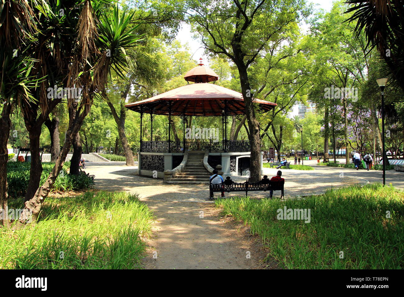 Bosque de Chapultepec. Park of Chapultepec, Mexico city Stock Photo - Alamy