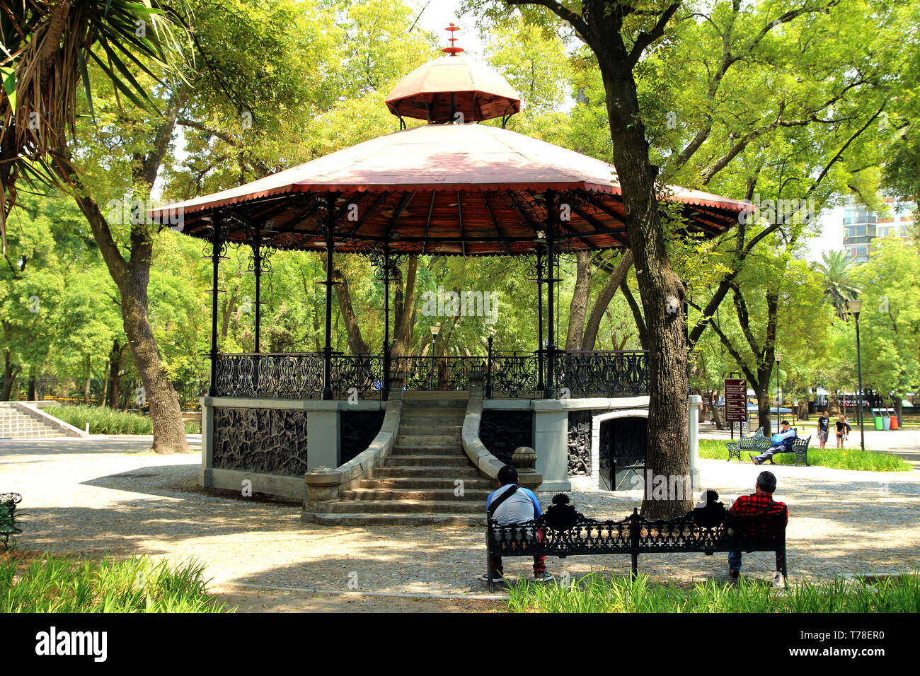 Bosque de Chapultepec. Park of Chapultepec, Mexico city Stock Photo - Alamy